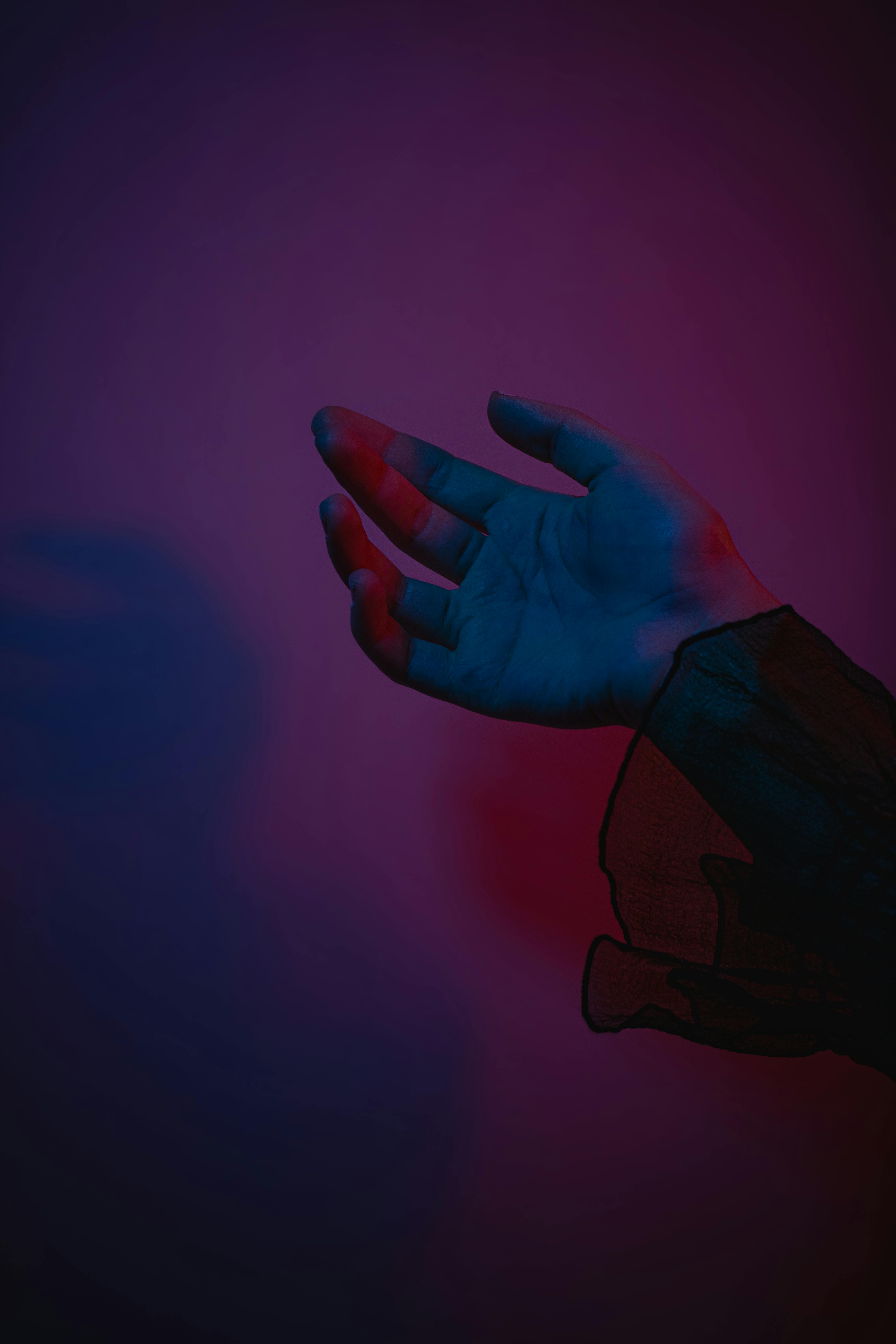 Close-up Photography of Human Left Hand · Free Stock Photo