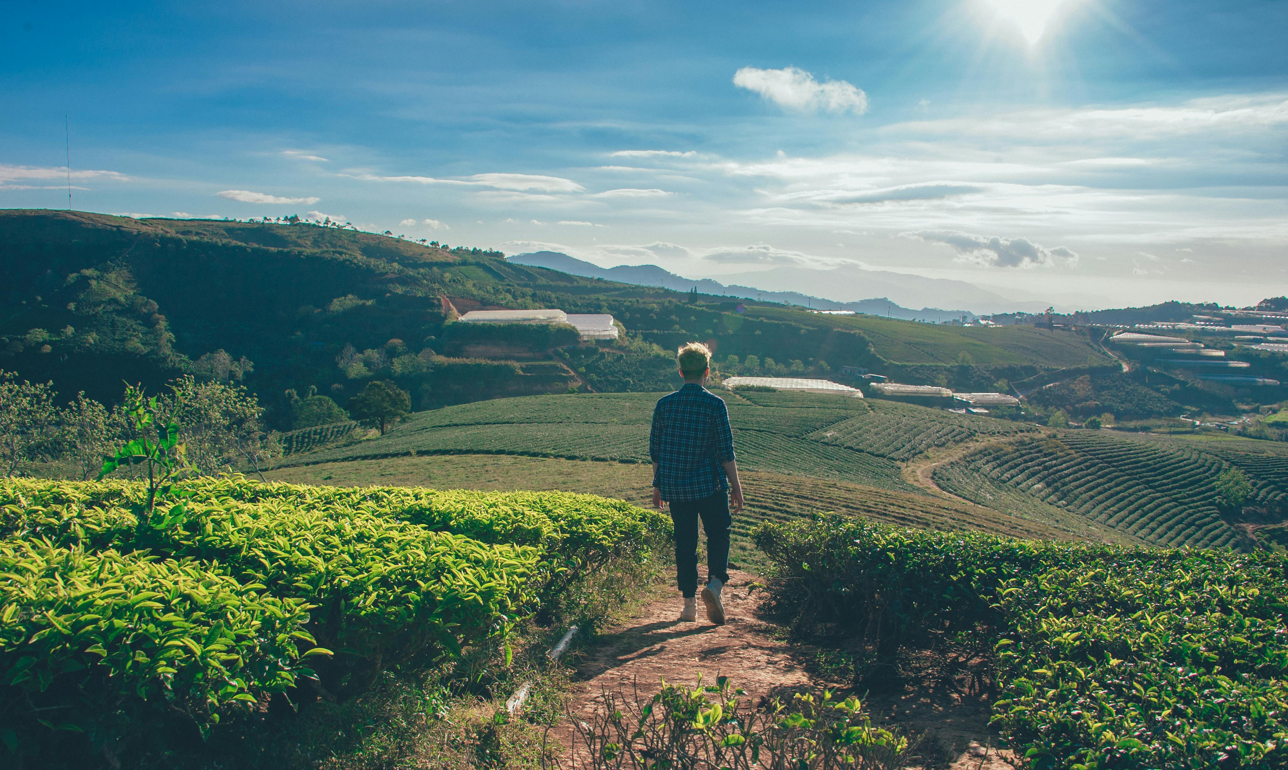 Man Standing in Between Fields · Free Stock Photo