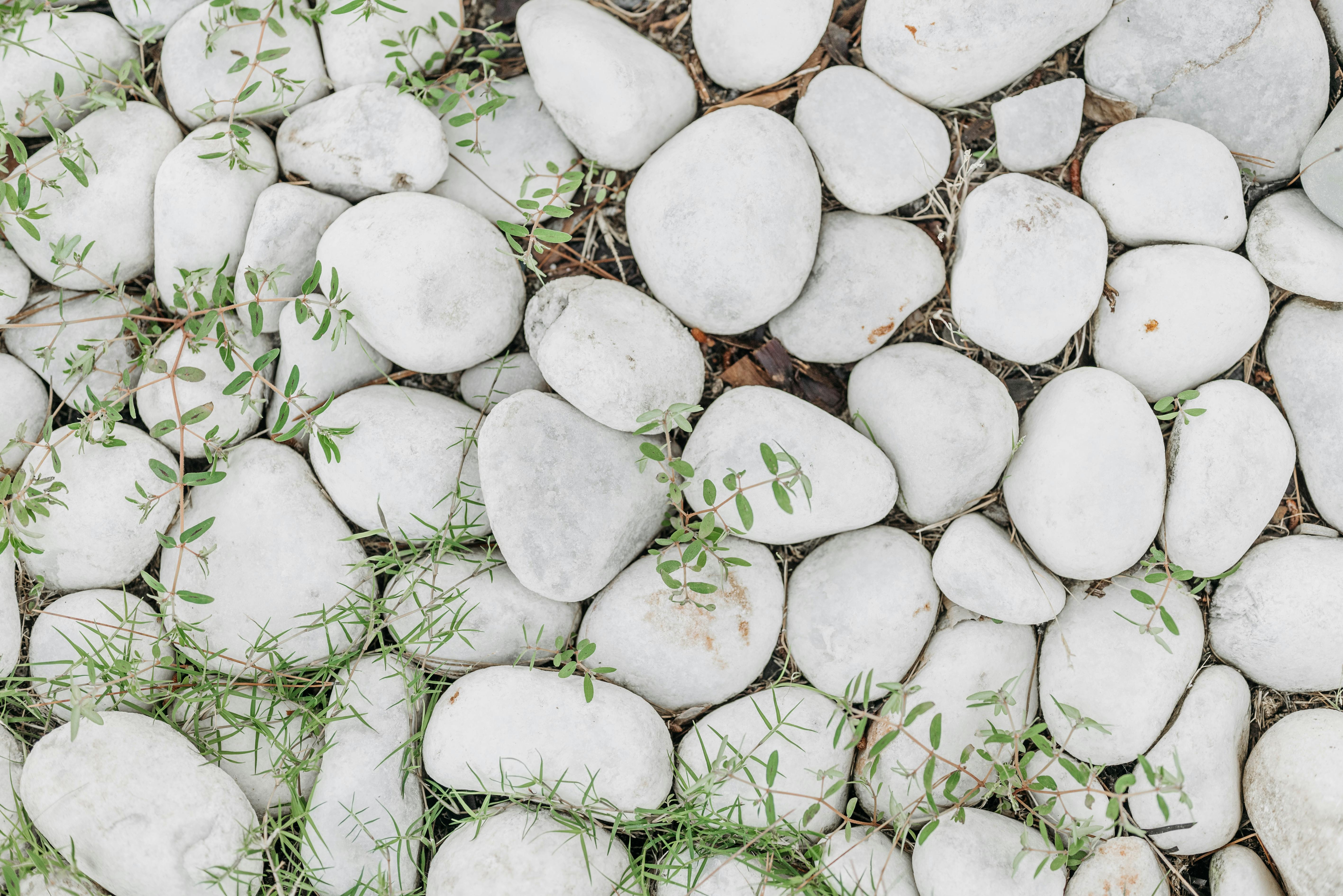 100,000+ Best Background Textures Photos · 100% Free Download · Pexels ...