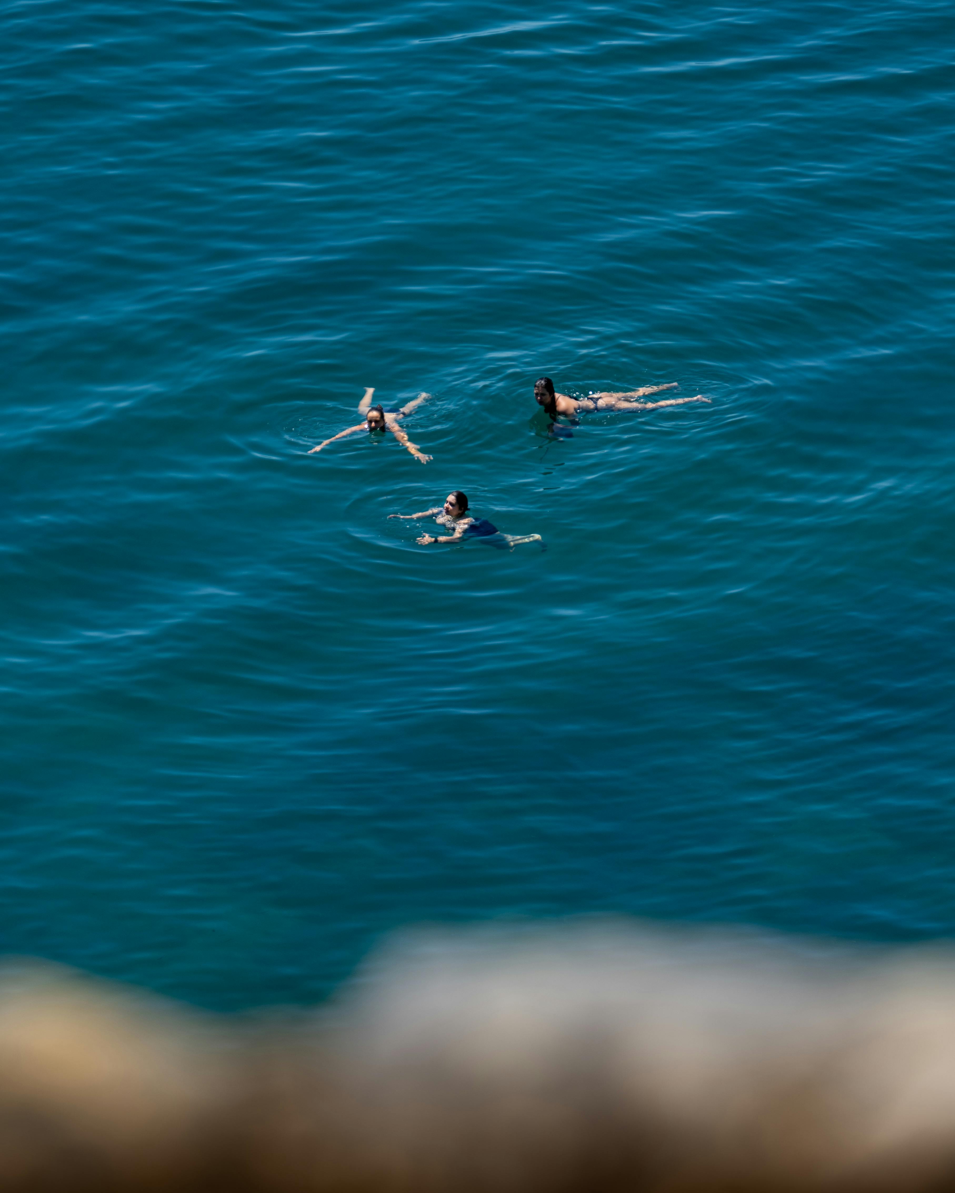 People Swimming in Sea · Free Stock Photo