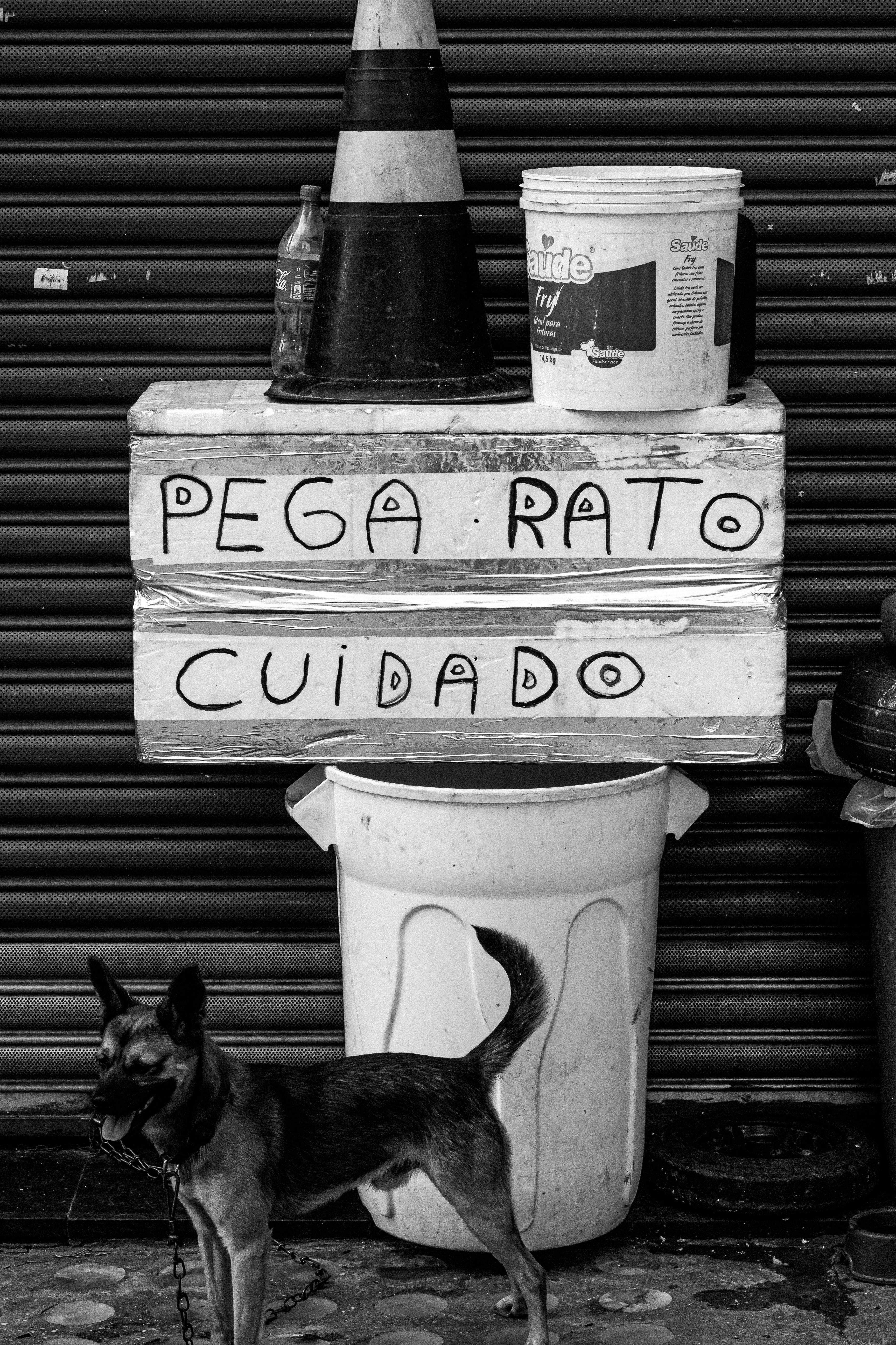 Portuguese Warning Photos, Download The BEST Free Portuguese Warning ...