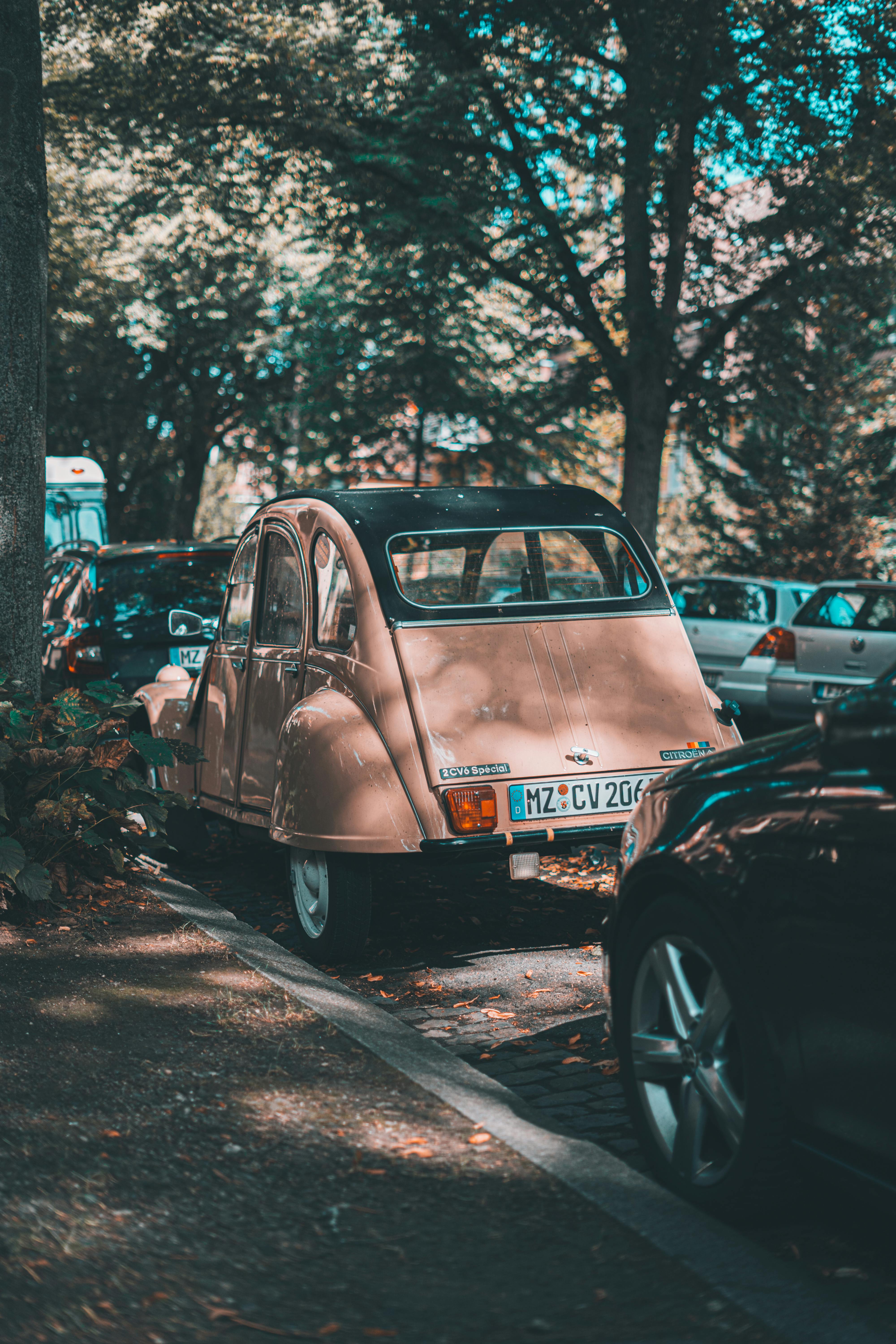Backview of an Old Vintage Car · Free Stock Photo