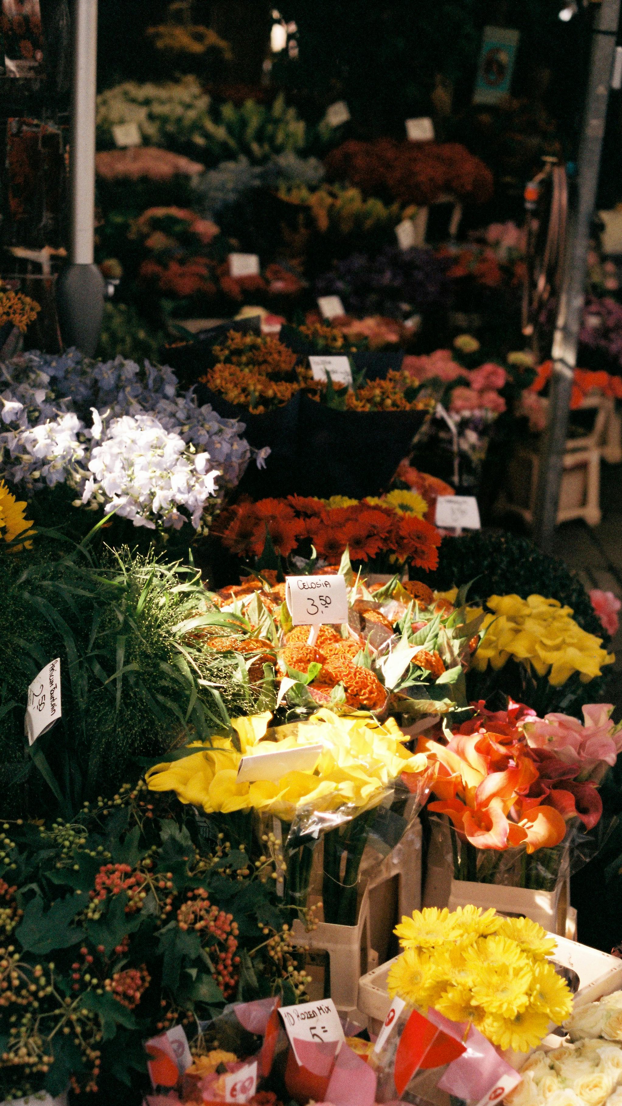 Carpet on Market Stall · Free Stock Photo