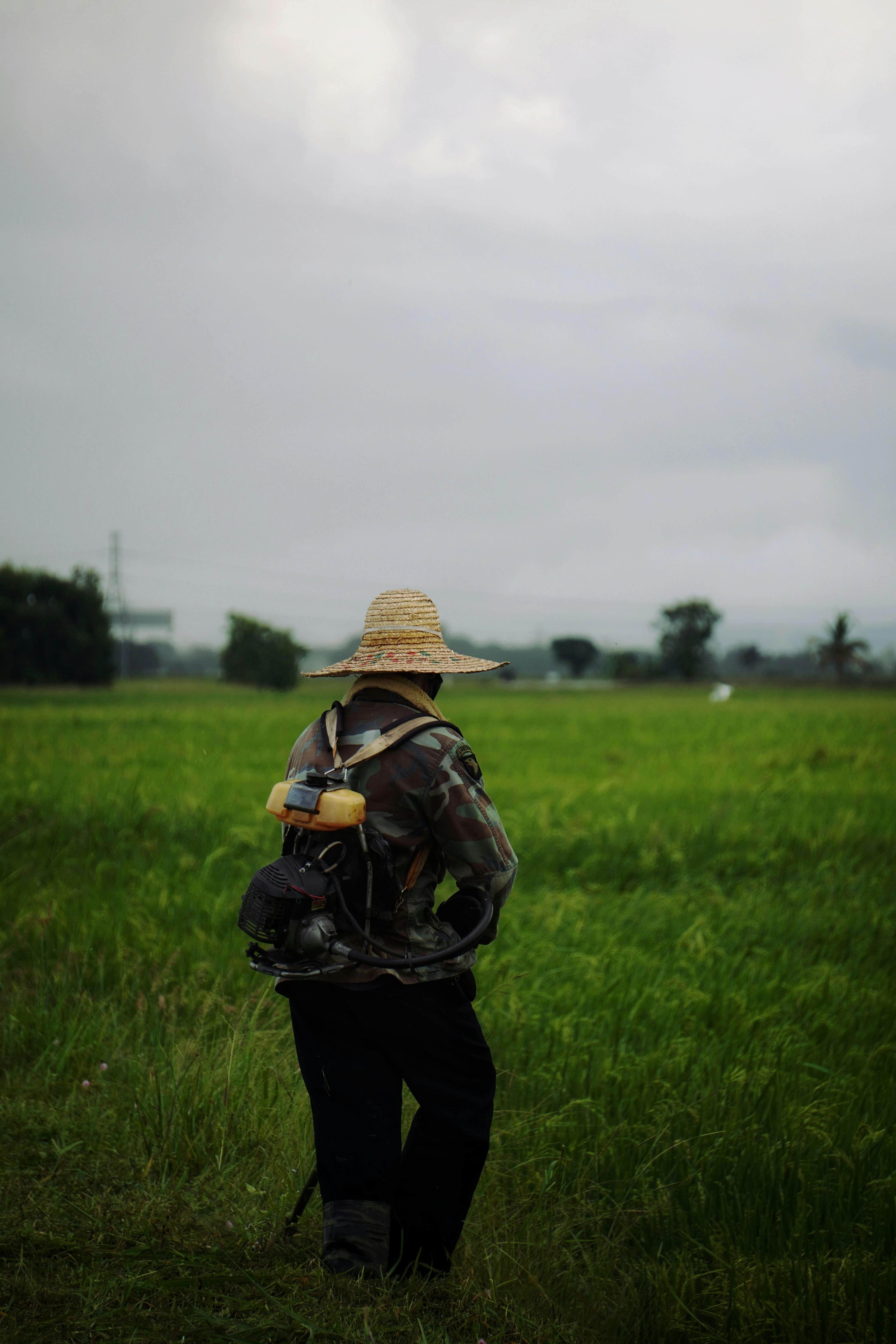 Man cutting down Shrubs · Free Stock Photo