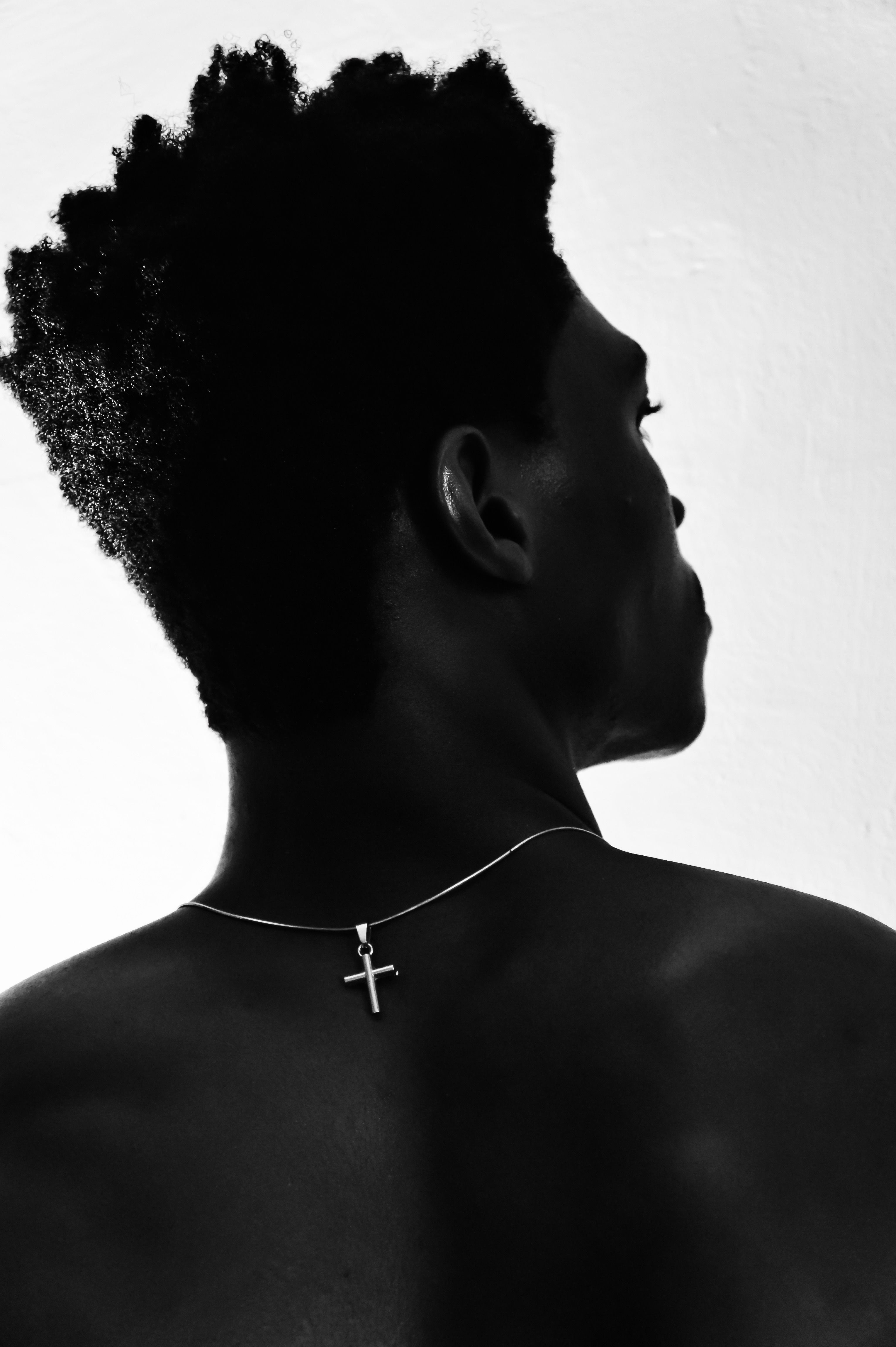 Back View of a Man · Free Stock Photo