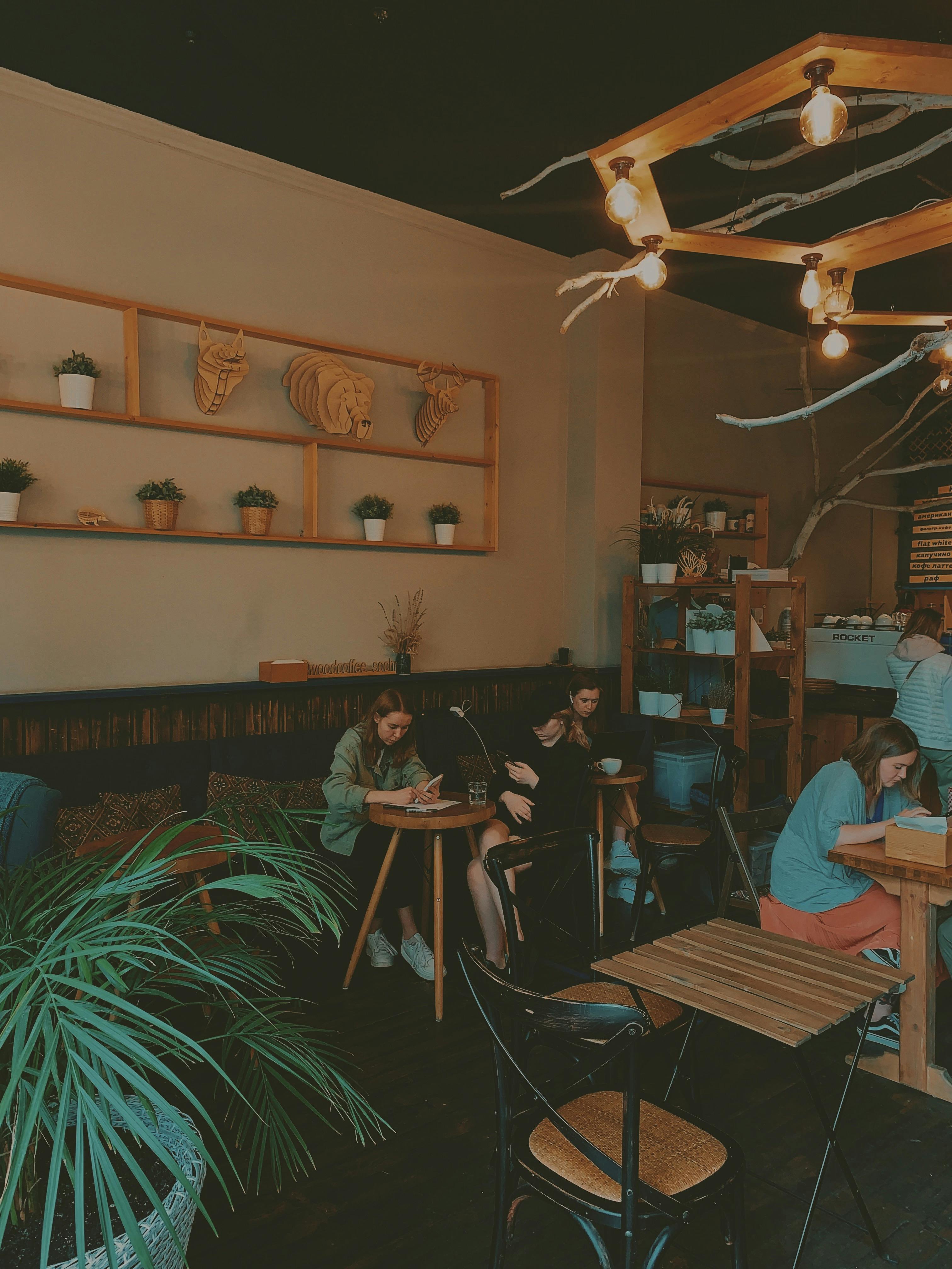 Relaxing Restaurant Photos, Download The BEST Free Relaxing Restaurant ...