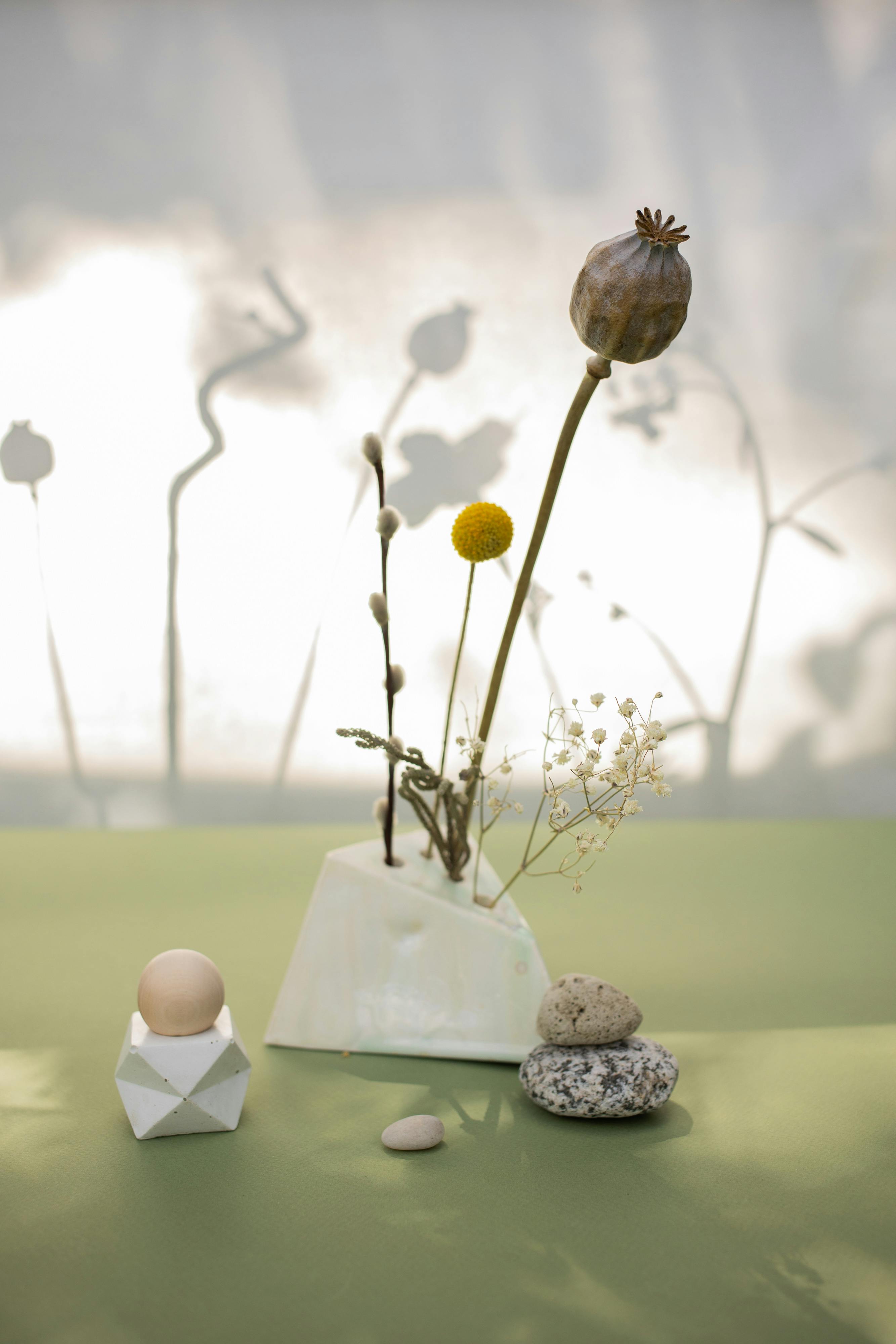 Vas Flowers Stand Photos, Download The BEST Free Vas Flowers Stand ...