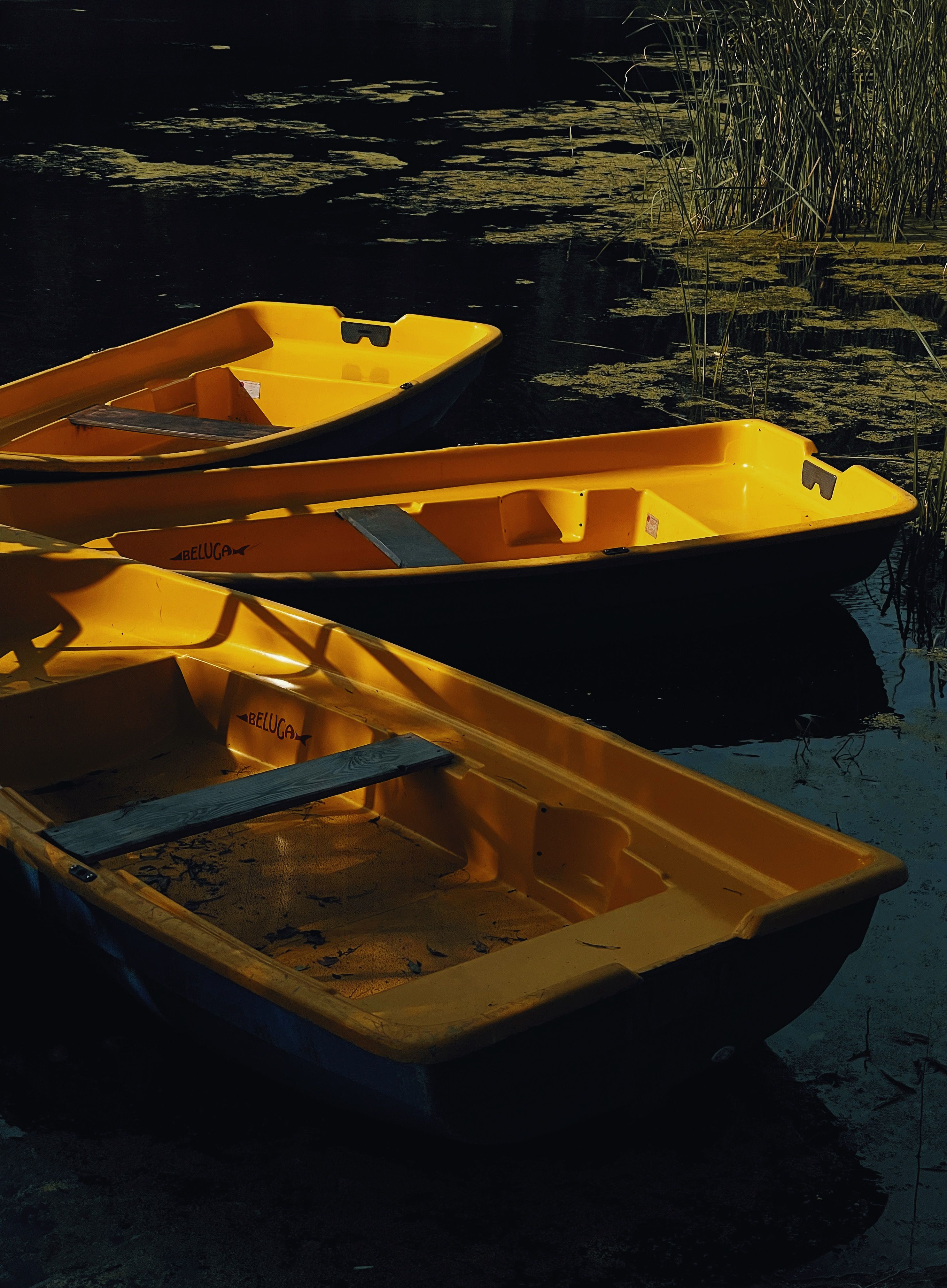 Empty Boats on Water · Free Stock Photo