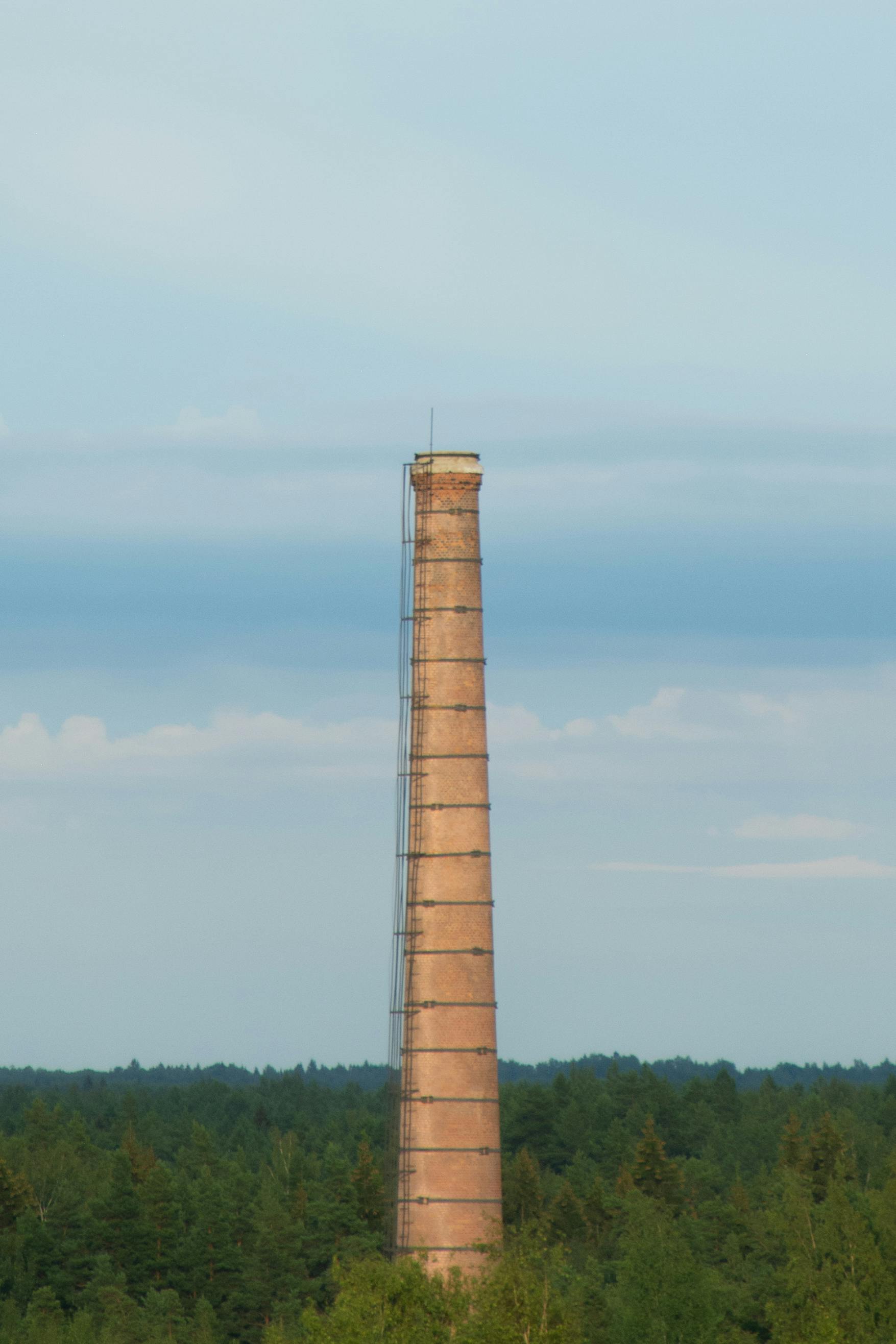 Smoke Stack in Middle of a Forest · Free Stock Photo