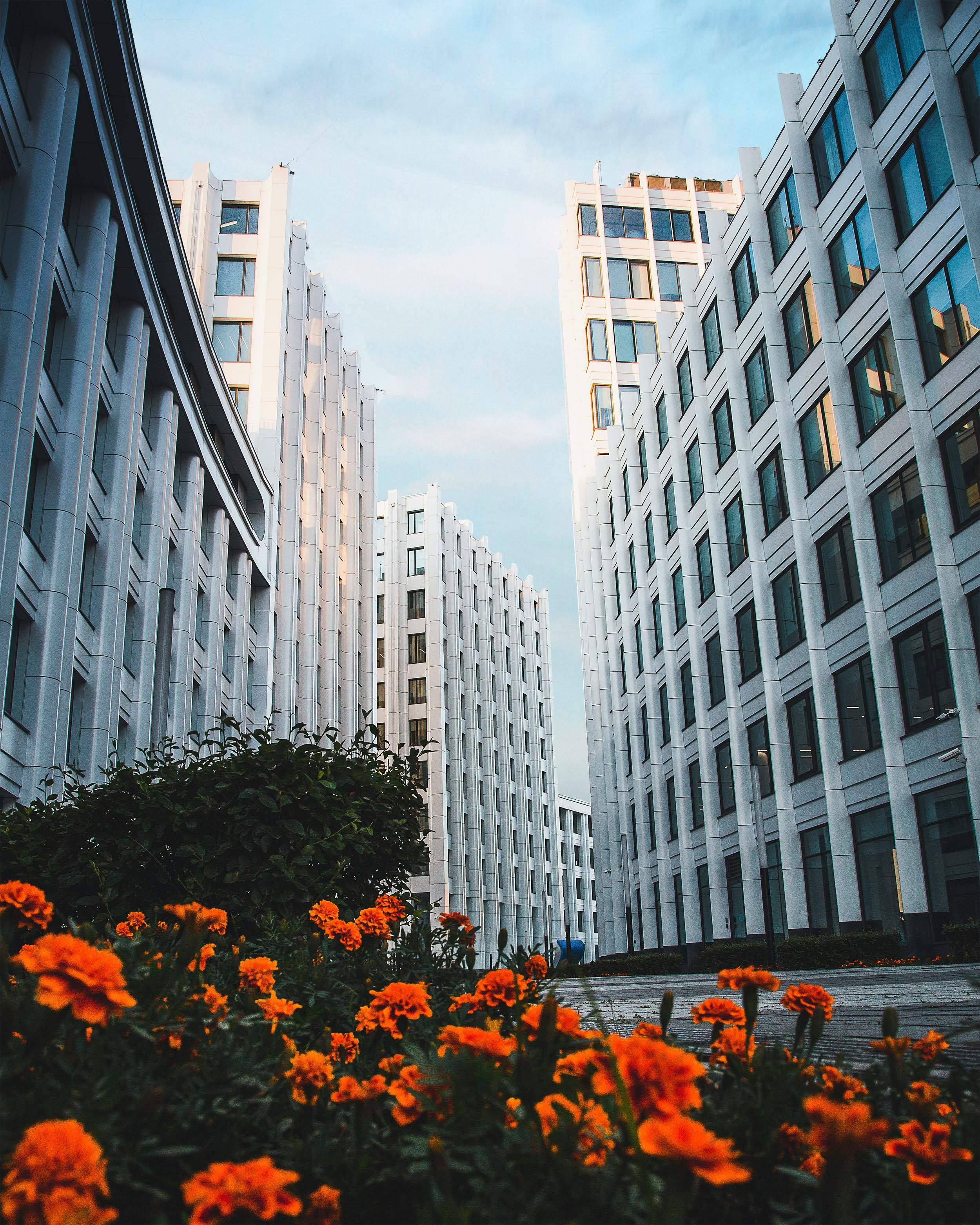 Photo of Road Near Buildings · Free Stock Photo