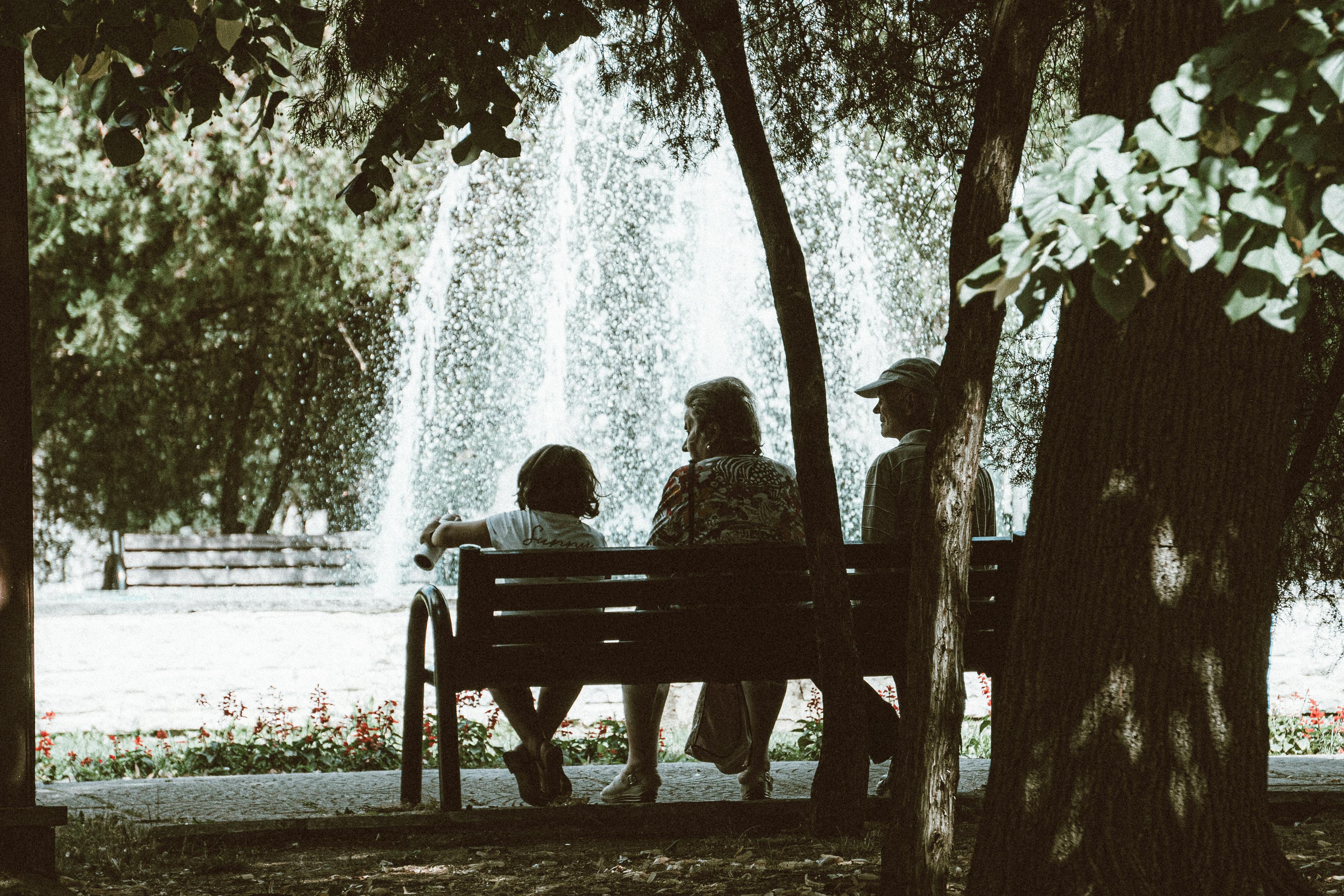 Person Holding Tree Trunk · Free Stock Photo