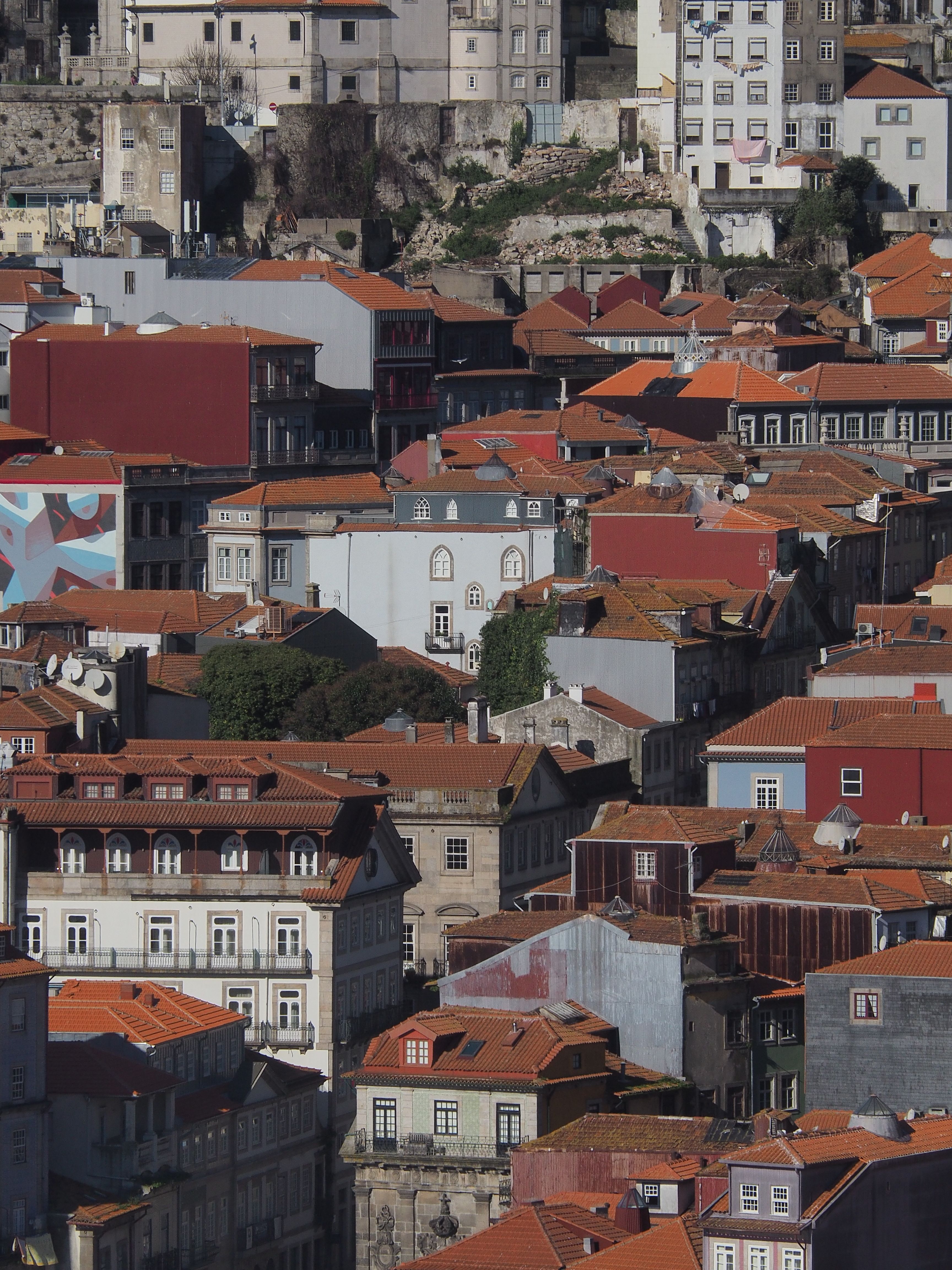 White and Blue Mansion with Roof Tiles · Free Stock Photo