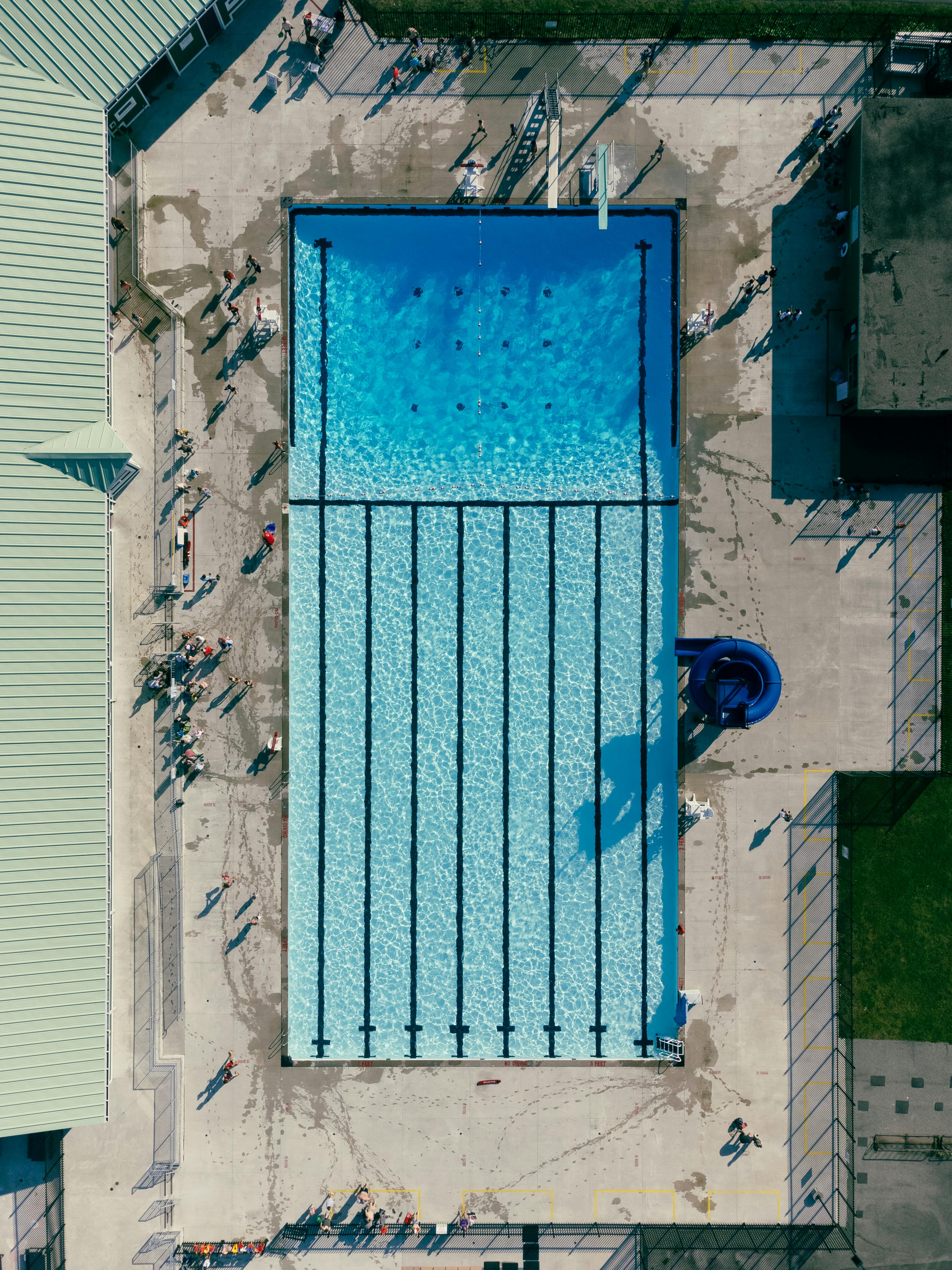 Top View of Swimming Pool · Free Stock Photo