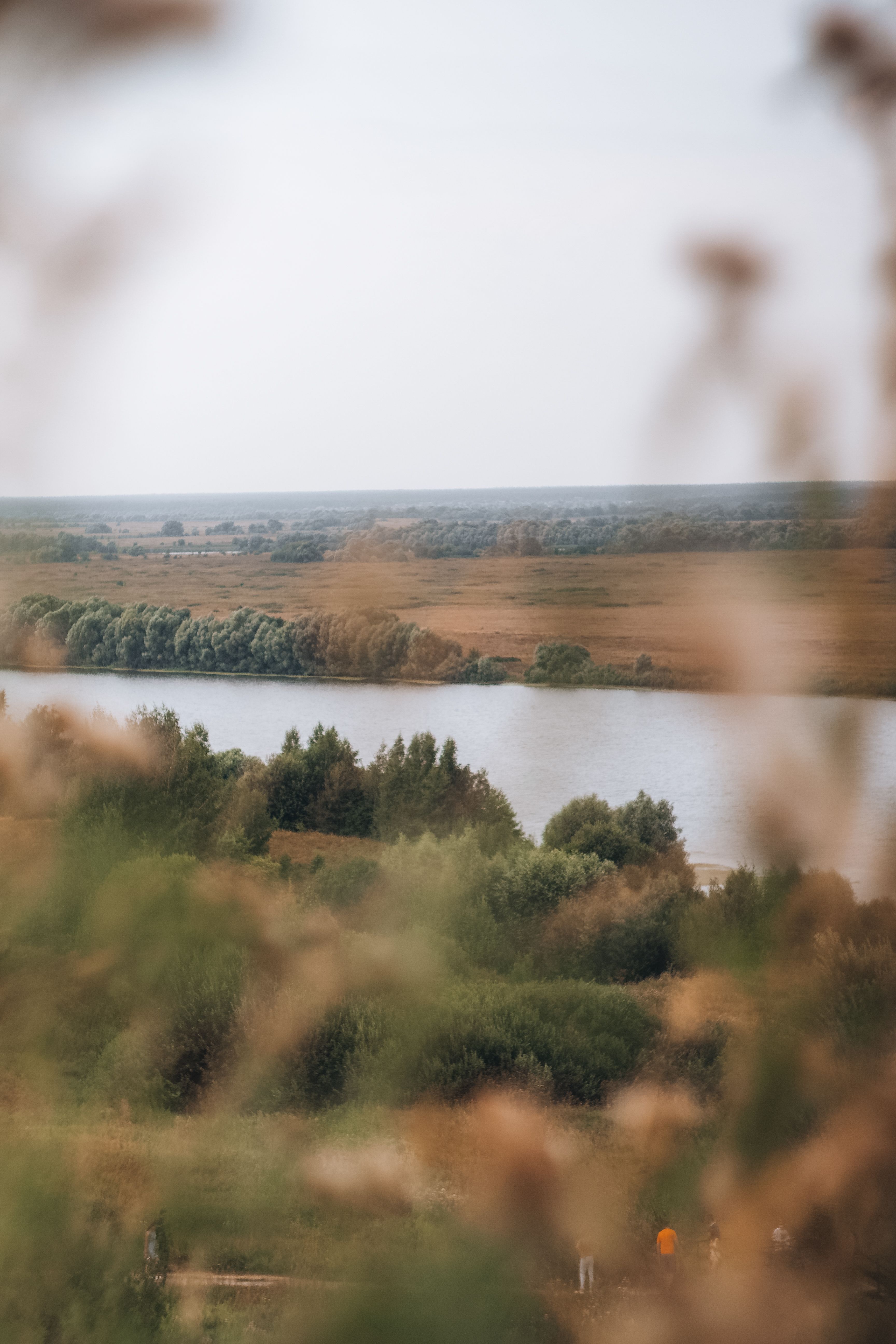 View of Riverside Fields in Summer · Free Stock Photo