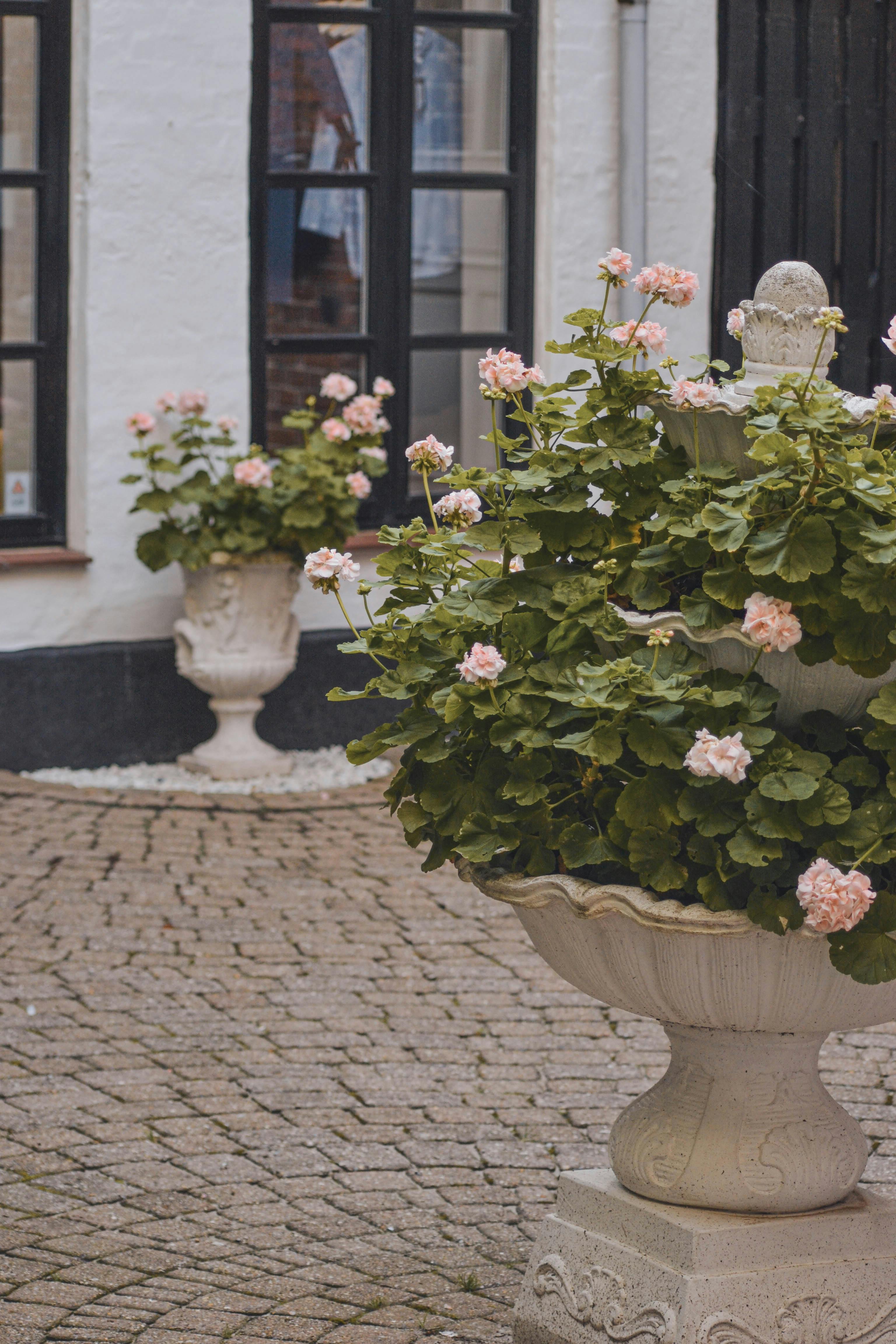 Corner Flower Pot Photos, Download The BEST Free Corner Flower Pot ...