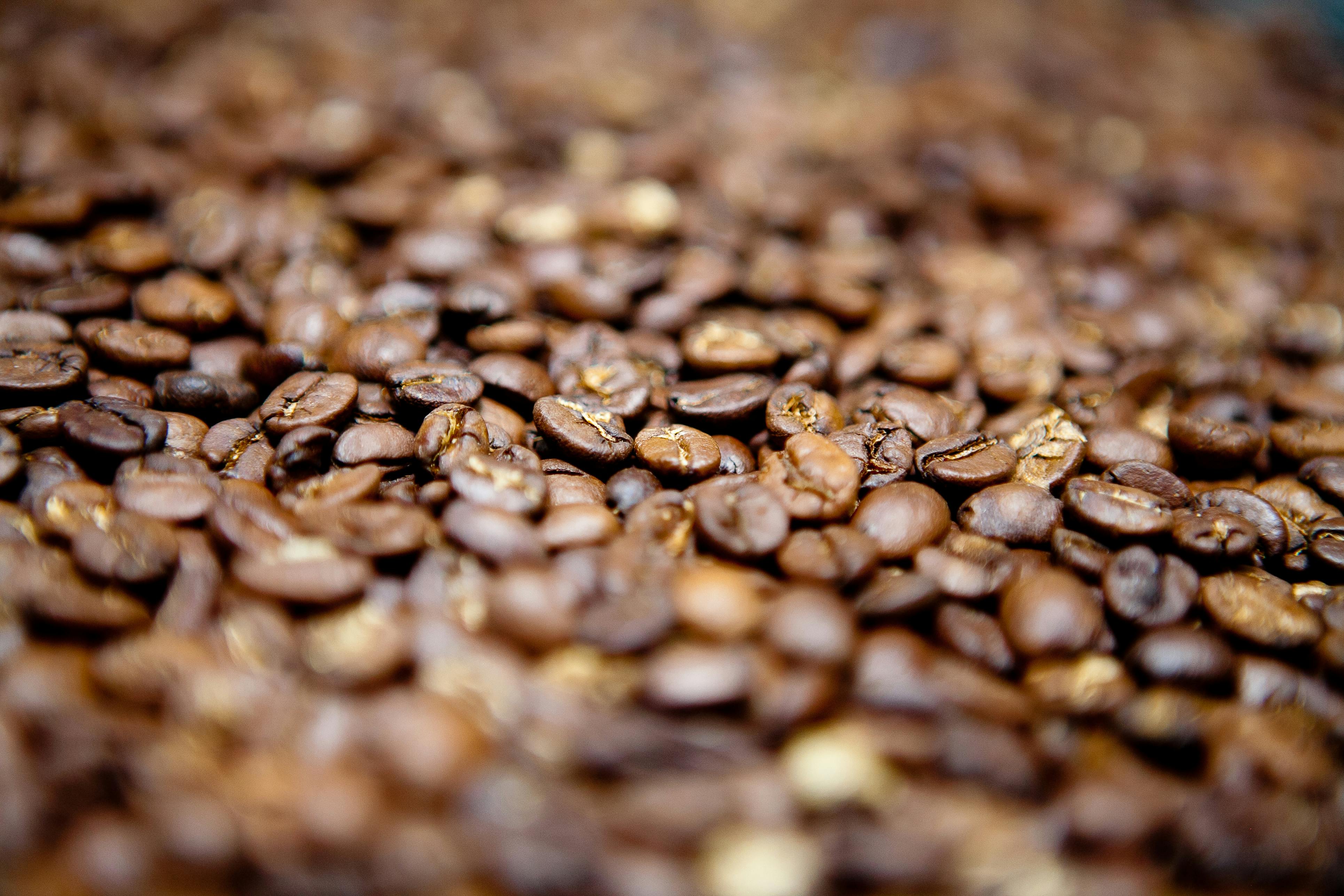 Brown Powder on Brown Spoon · Free Stock Photo