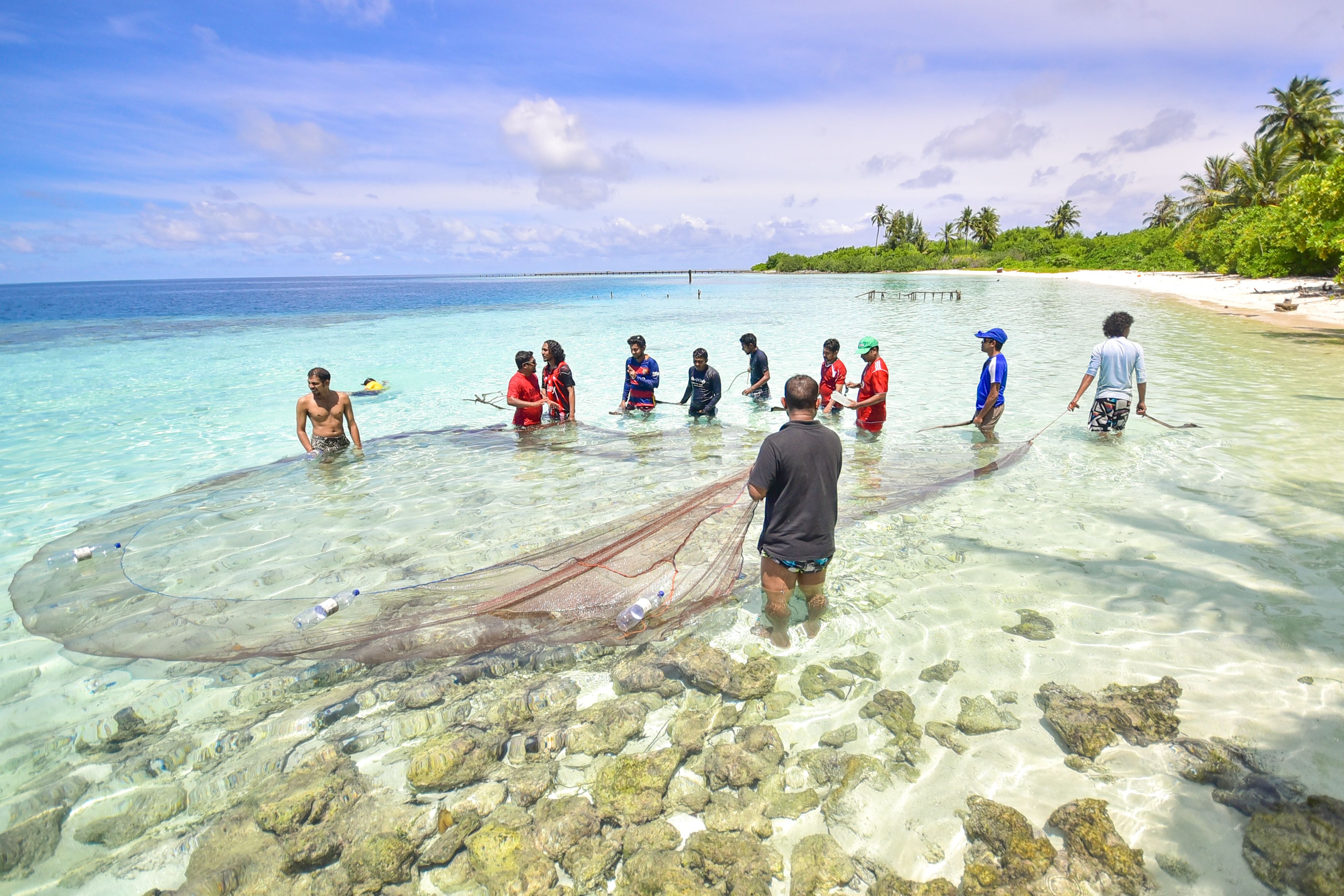 People Standing on the Shore · Free Stock Photo