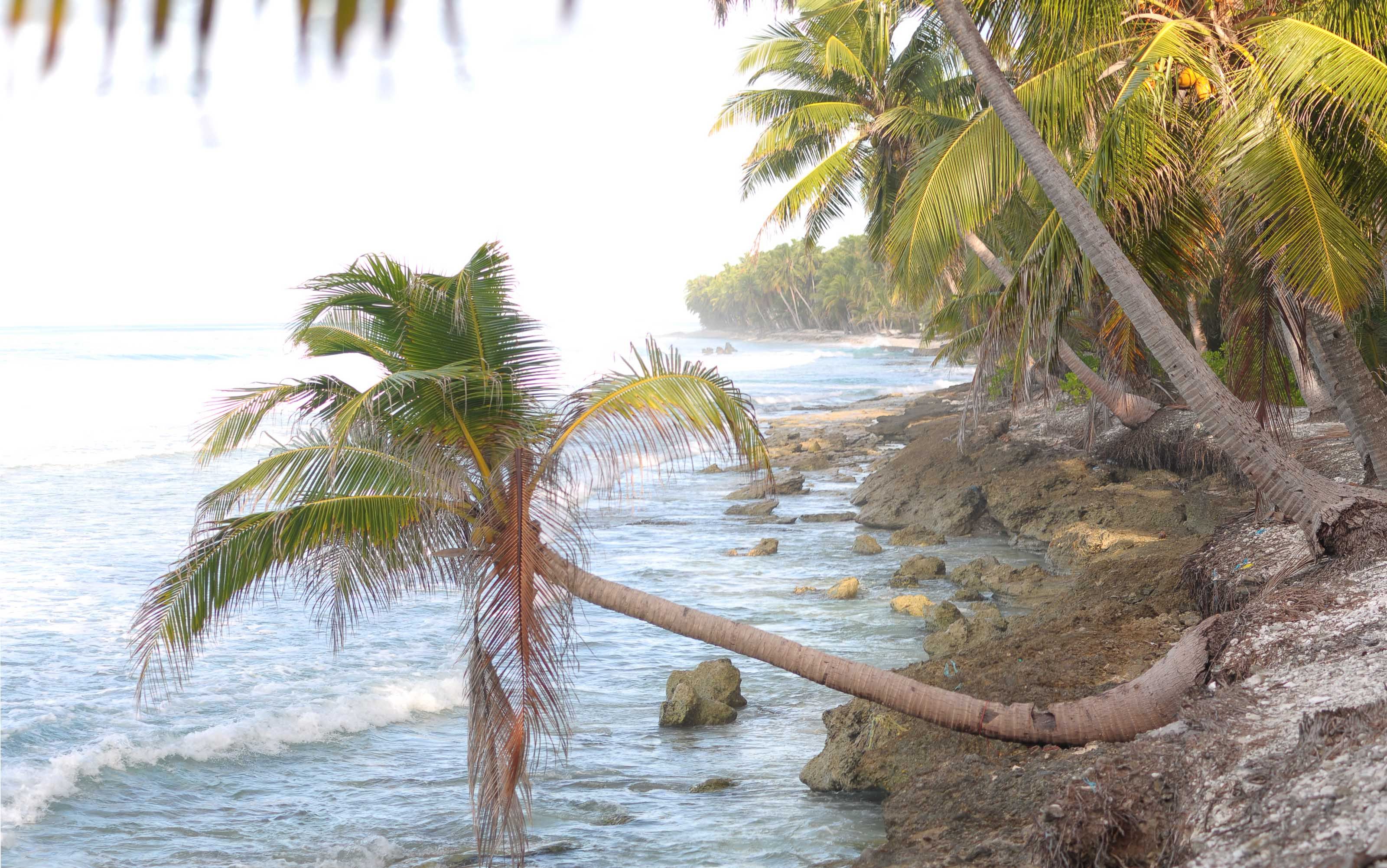 Ocean Photography · Free Stock Photo