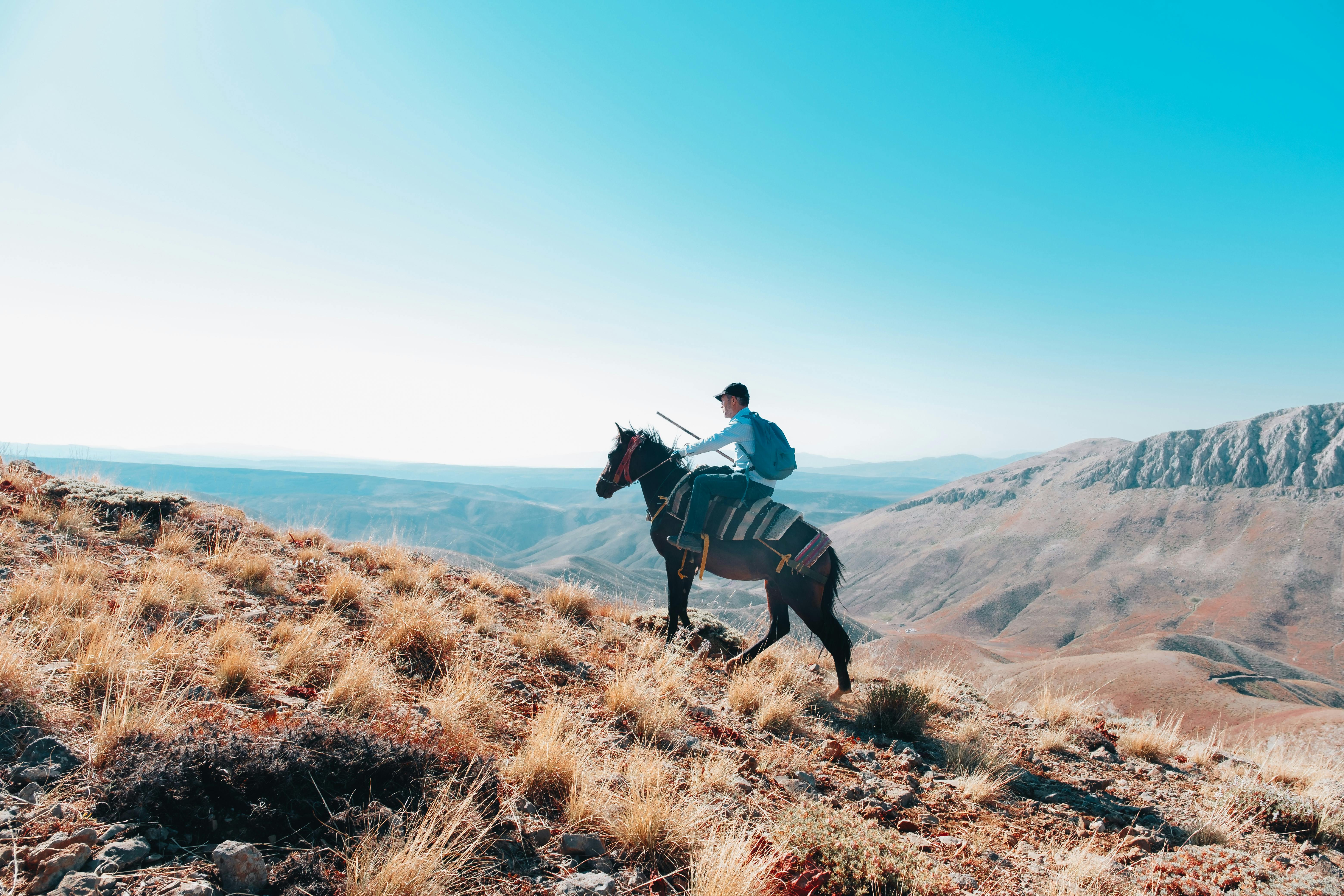 Photo of Person Riding a Horse · Free Stock Photo