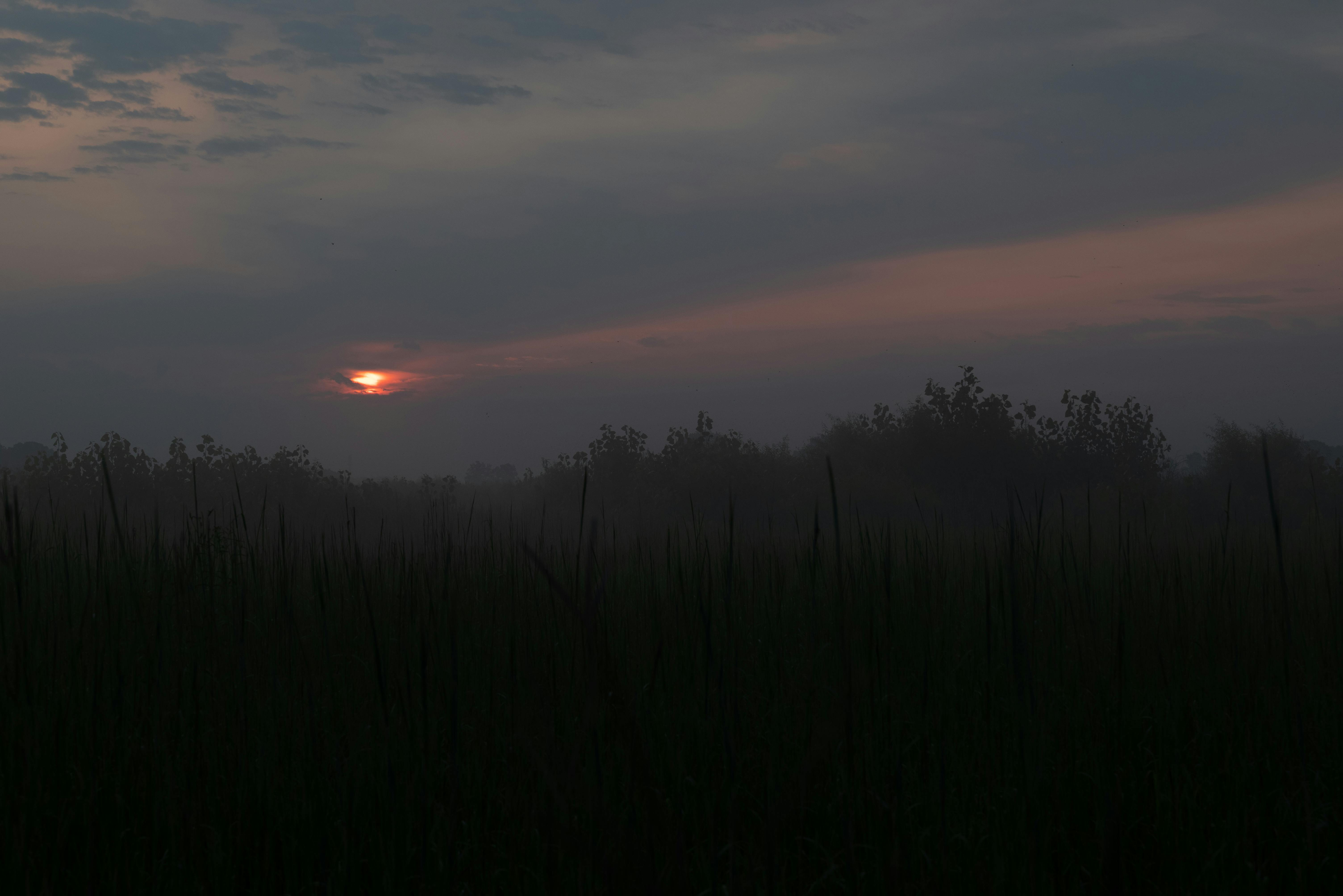 A Field at Dawn · Free Stock Photo