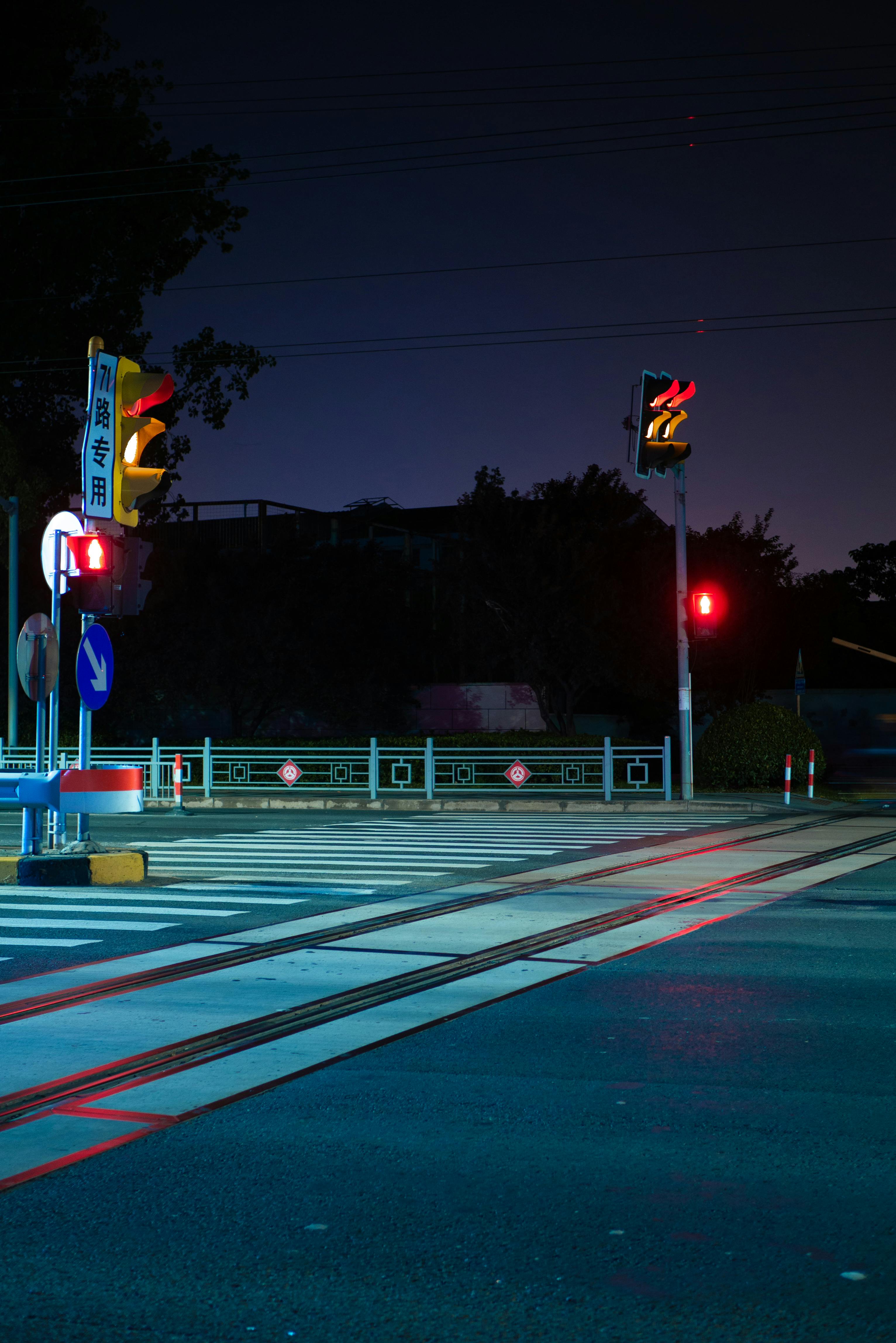 Traffic Lights in the Road · Free Stock Photo