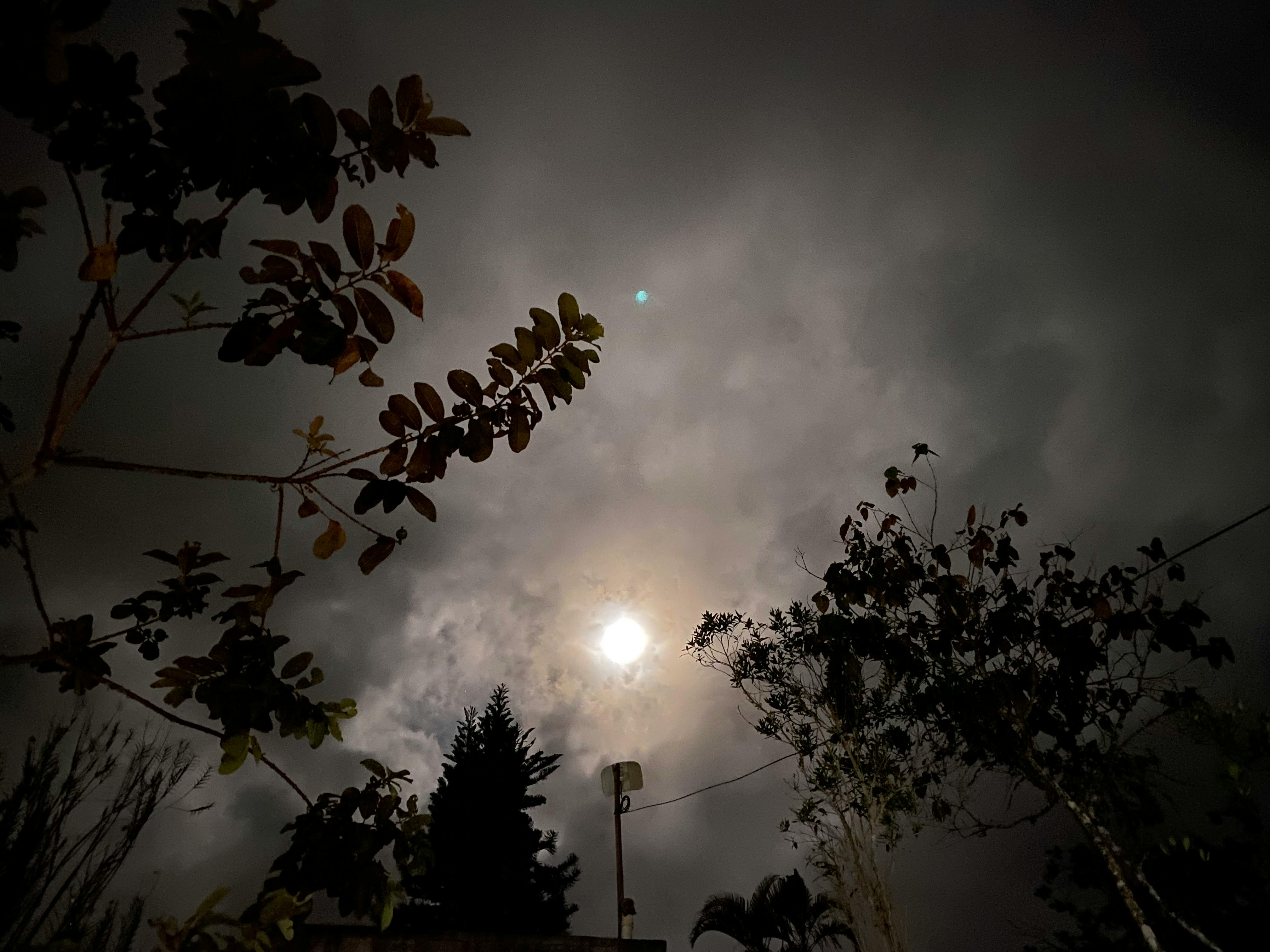 Carlos Alberto Montes - Photography