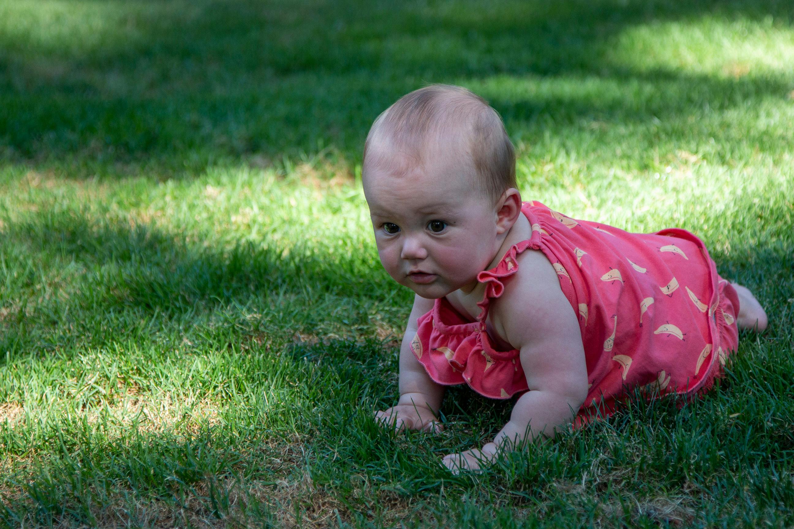 Toddler Crawling Photos, Download Free Toddler Crawling Stock Photos ...