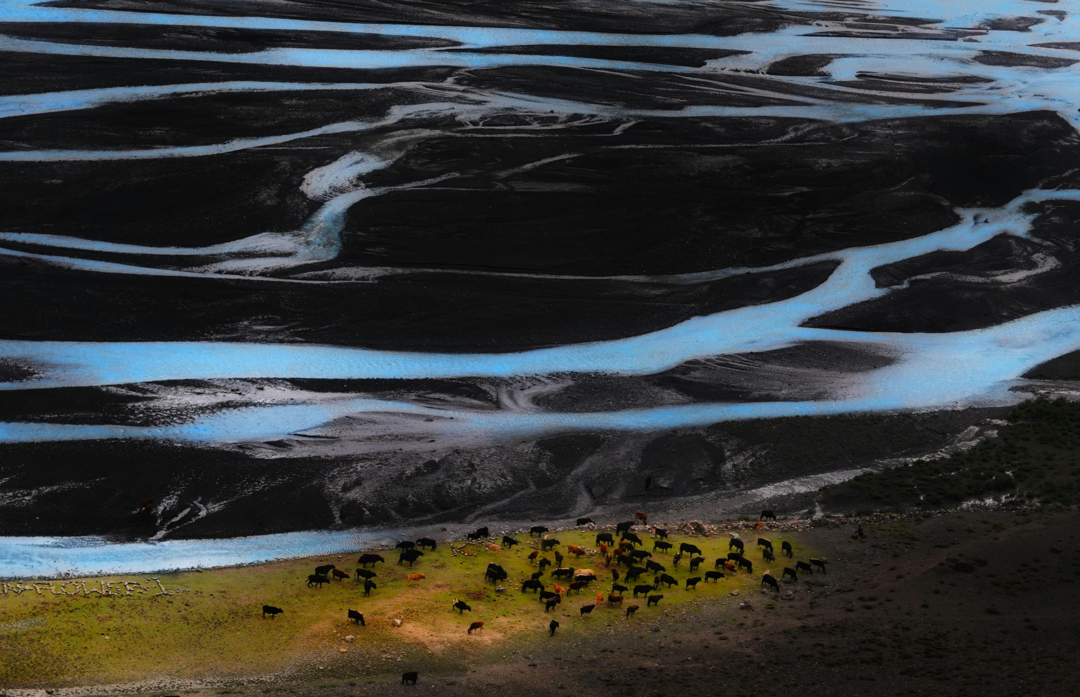 Grass Missing Patches Photos, Download The BEST Free Grass Missing ...