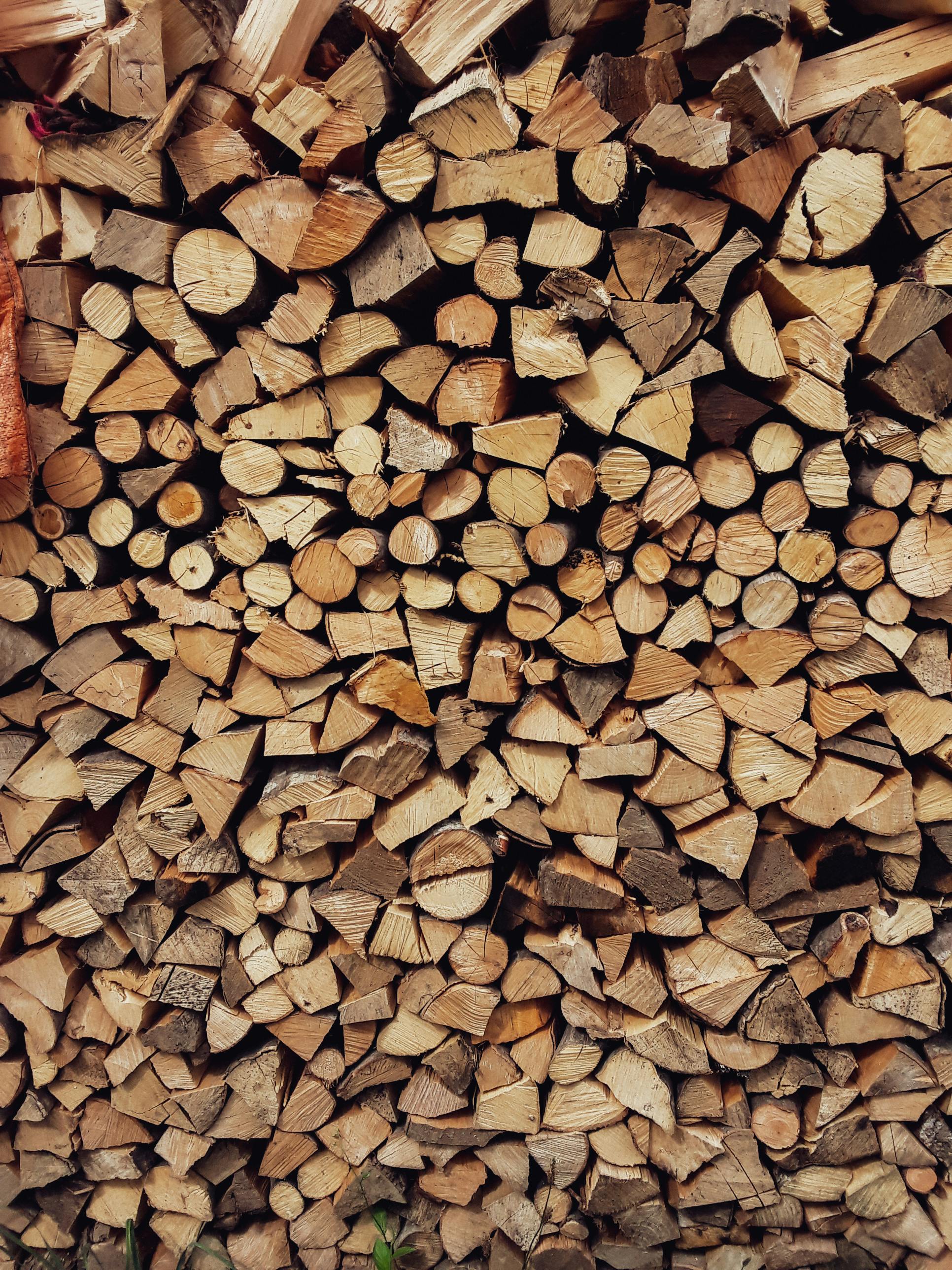 Close-Up Shot of Wooden Logs · Free Stock Photo