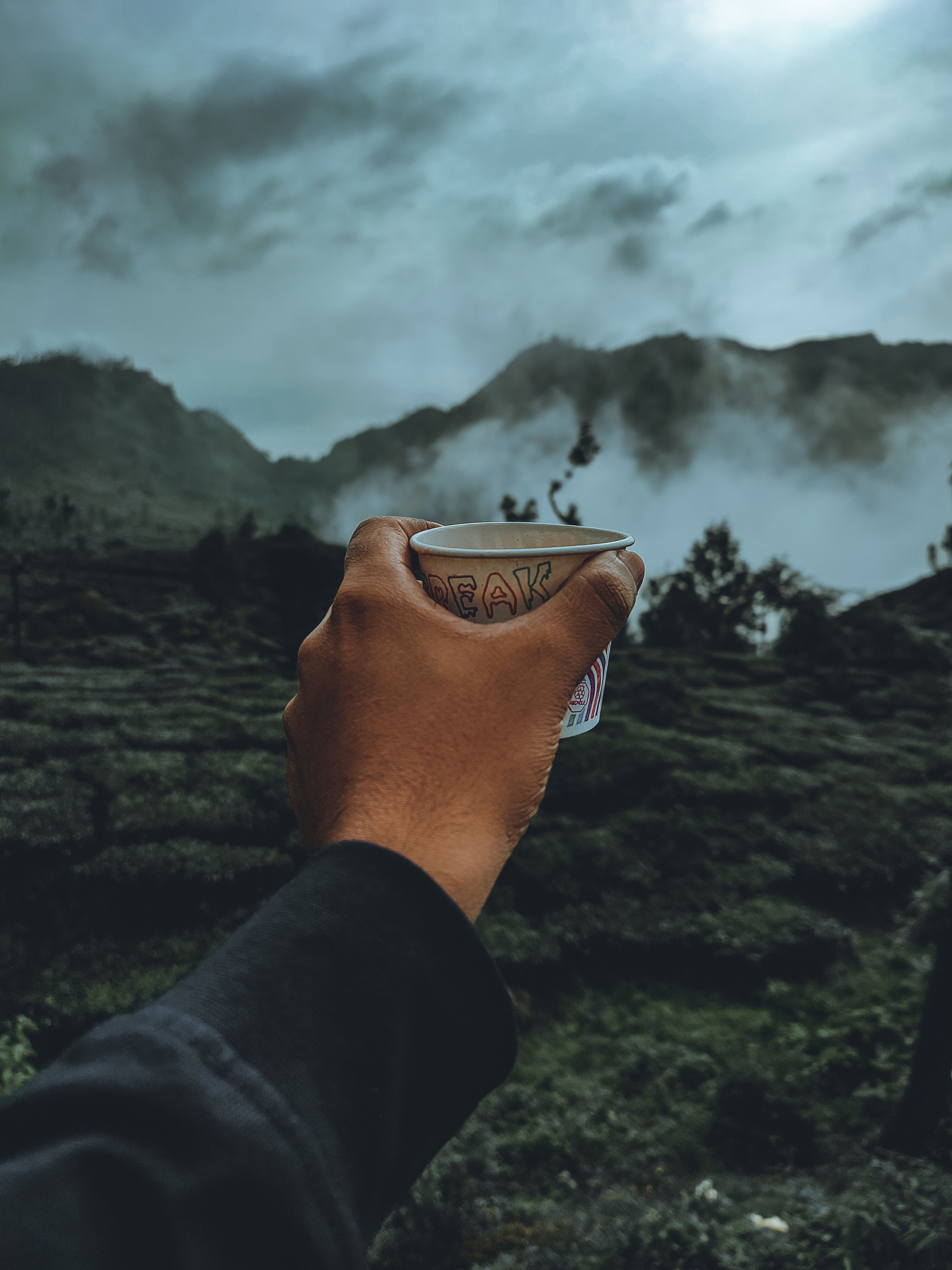 Person Holding a Paper Cup · Free Stock Photo