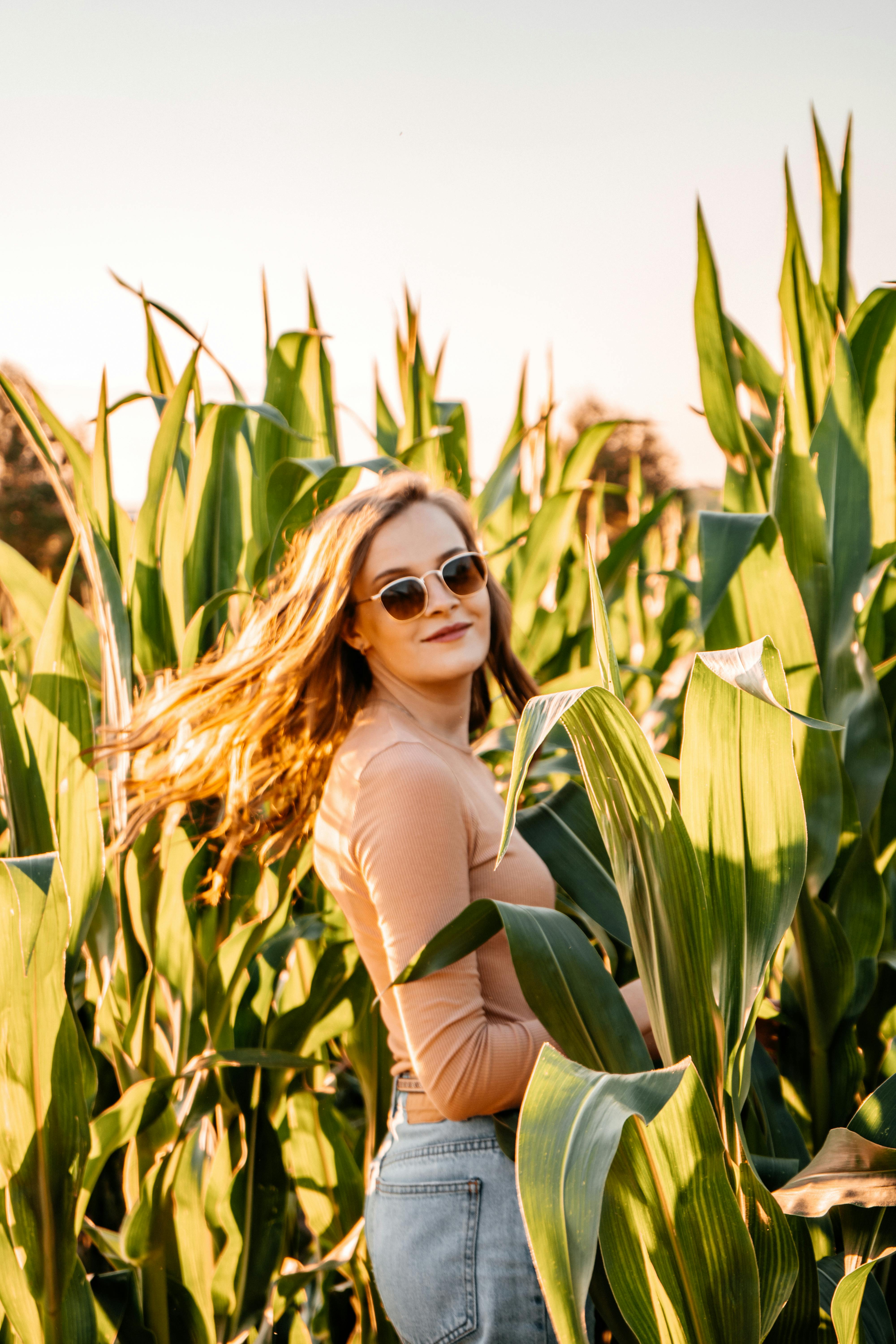 Maize Photos, Download The BEST Free Maize Stock Photos & HD Images