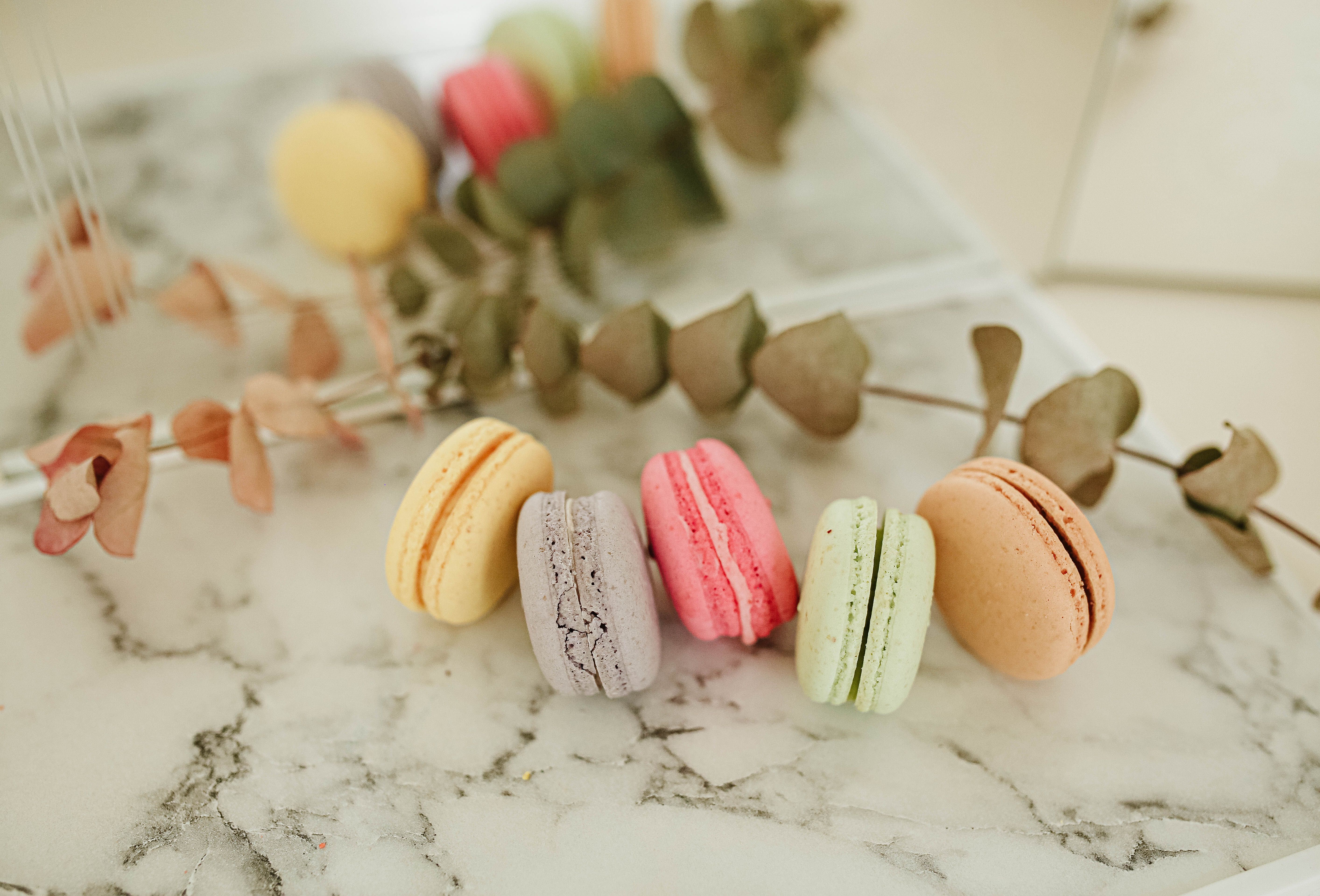 Colourful Macaroons and Eucalyptus Twigs on a Marble Counter · Free ...