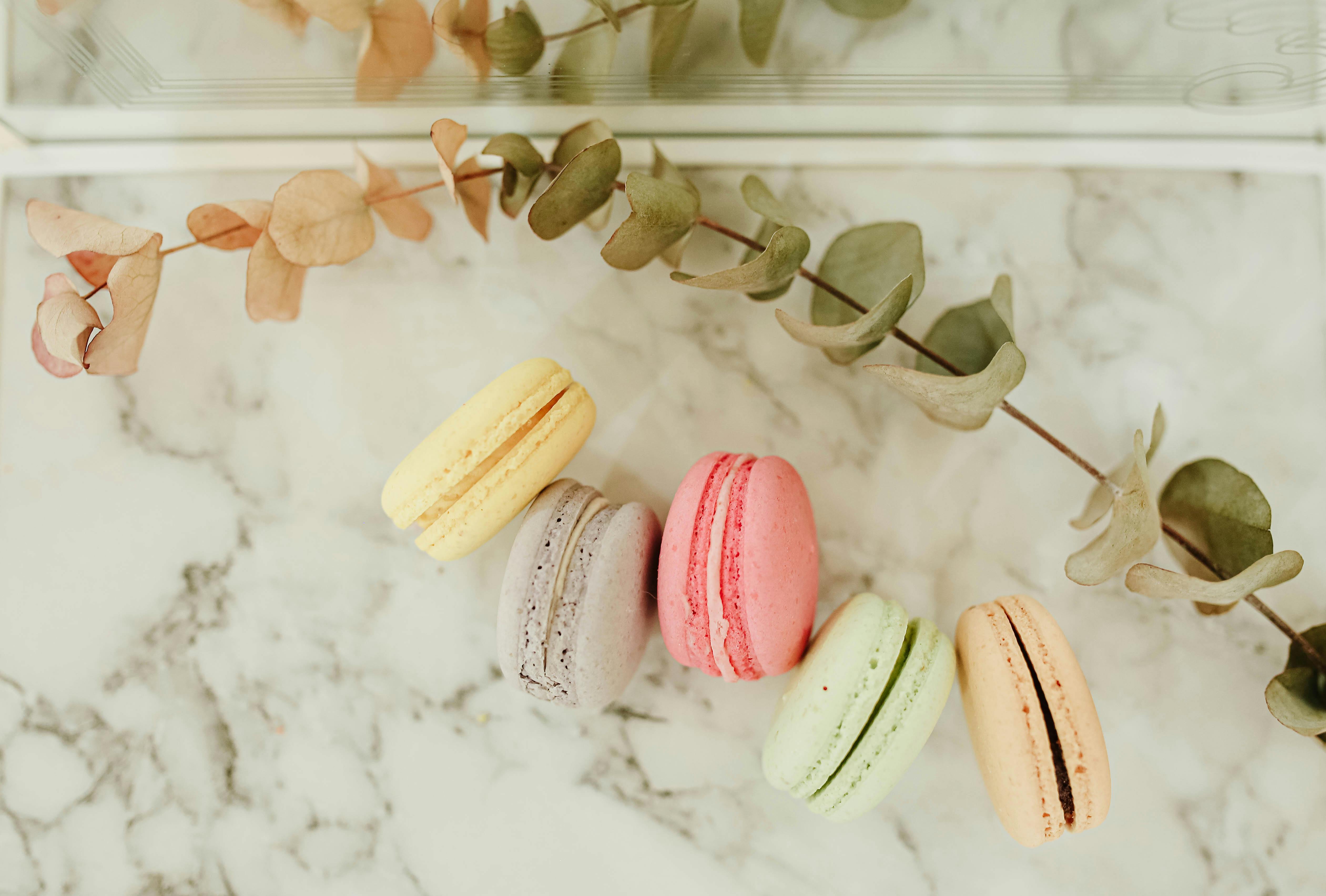 A Sliced Macaroons Surrounded with Flower Petals on a White Surface ...