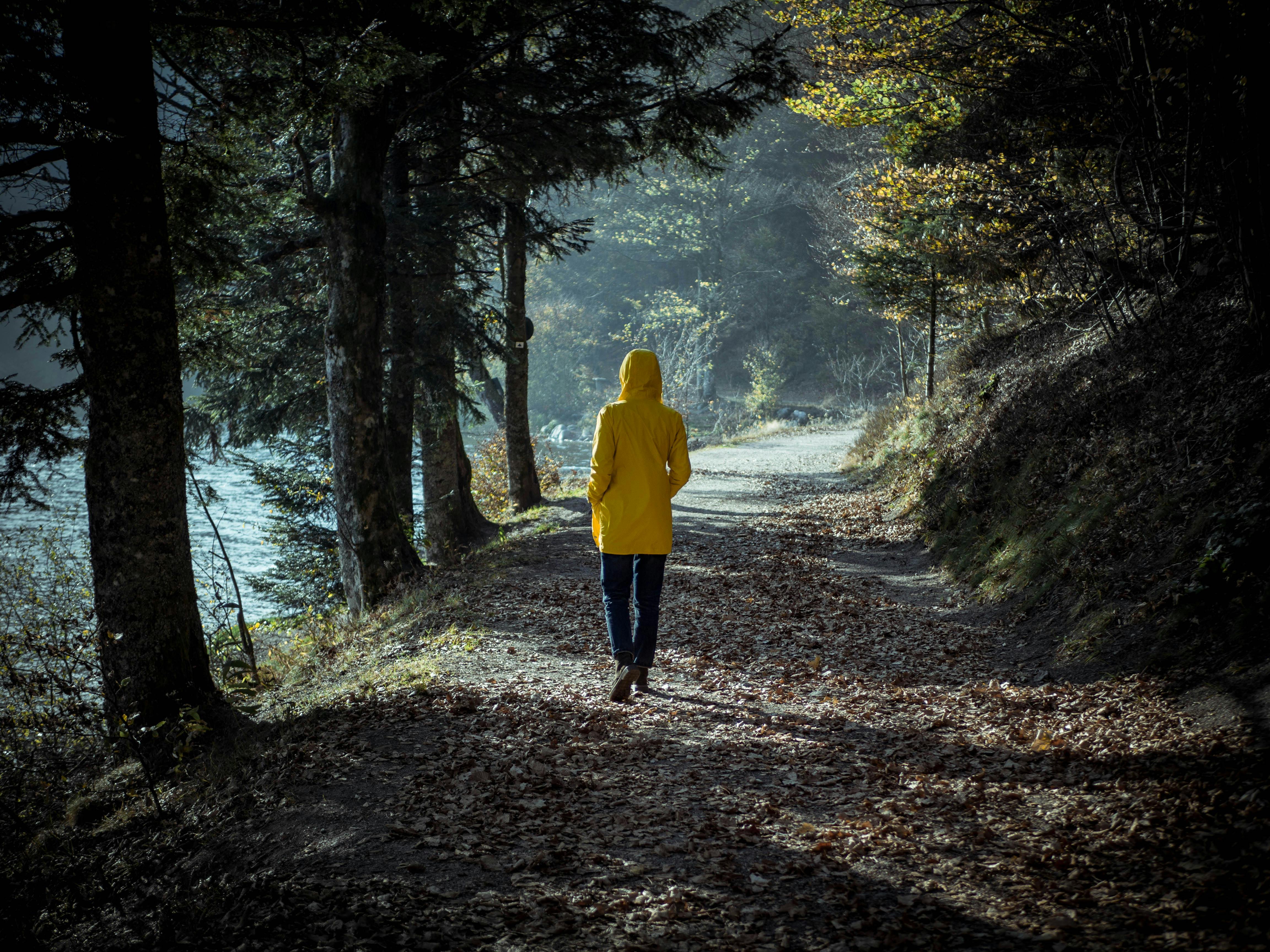 Woman Walking on Pathway · Free Stock Photo