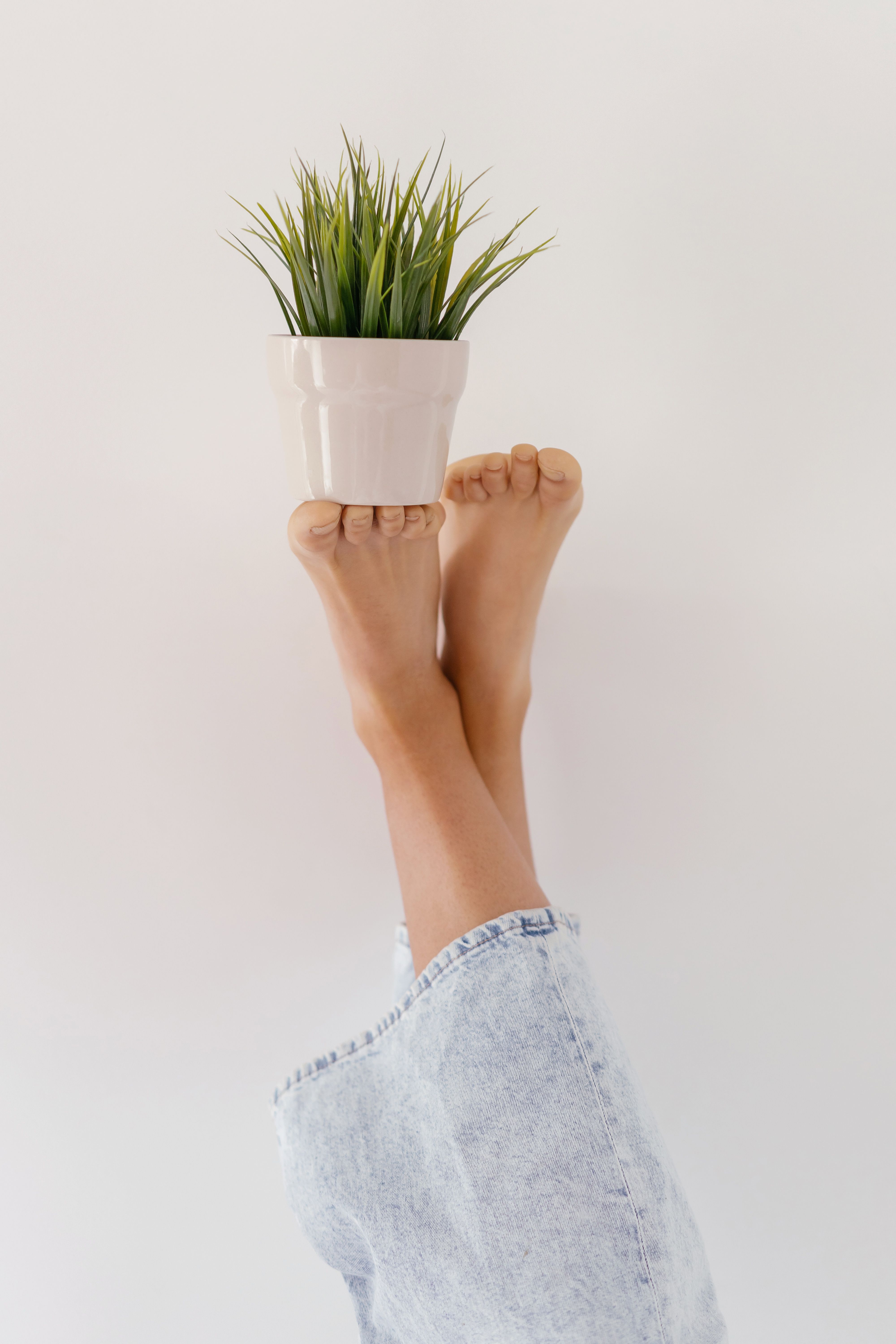 A Person Balancing a Potted Plant on the Feet · Free Stock Photo