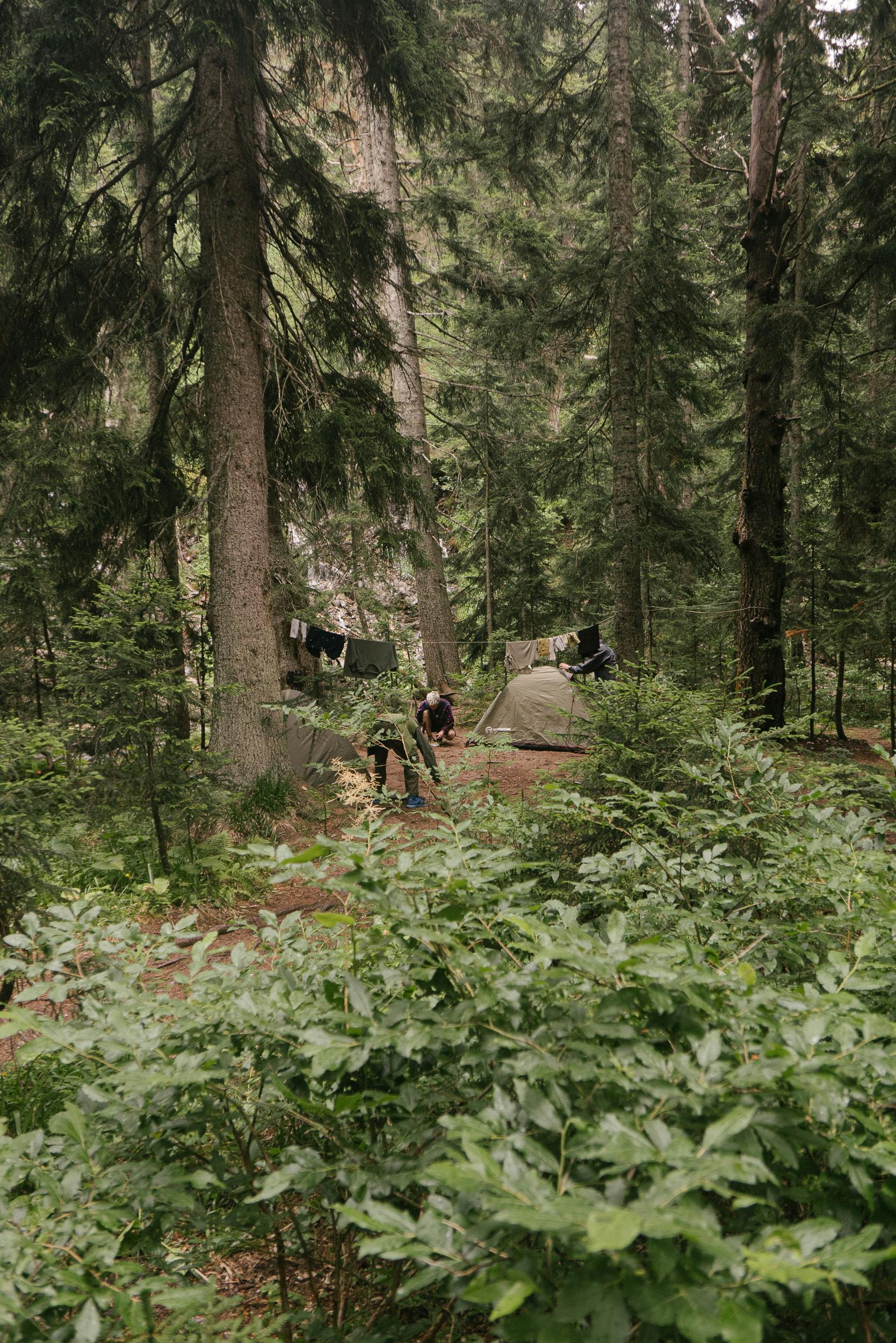 People on Forest · Free Stock Photo