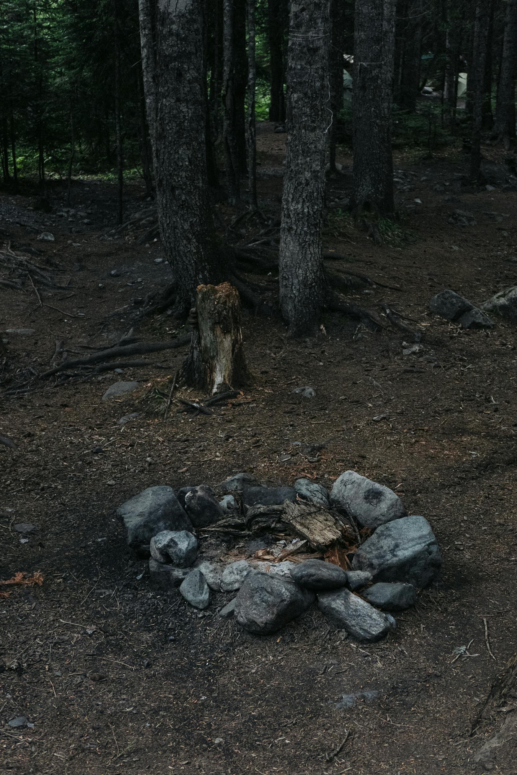 Burn Out Bonfire in Forest · Free Stock Photo