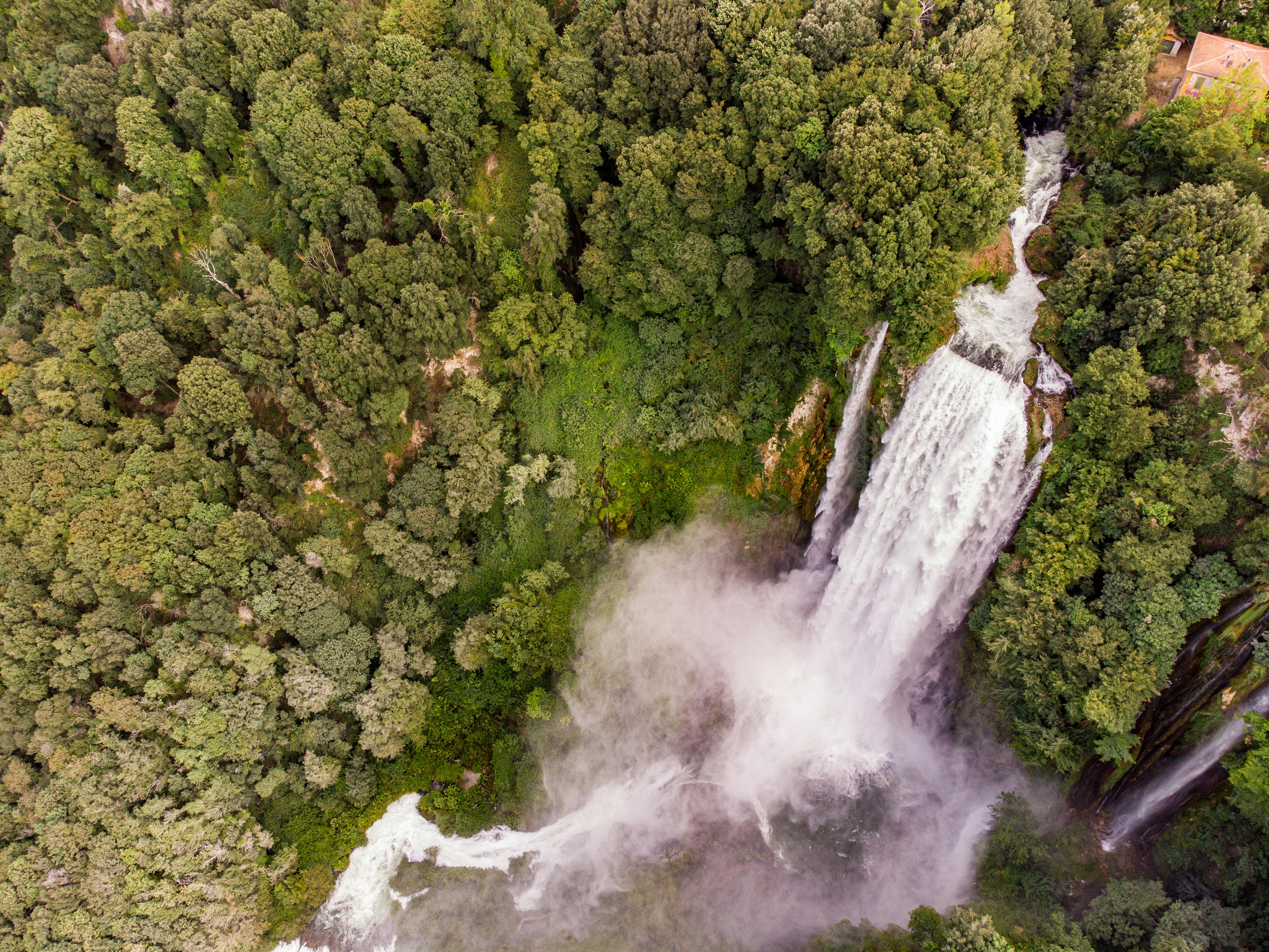 Waterfalls Among Green Trees · Free Stock Photo