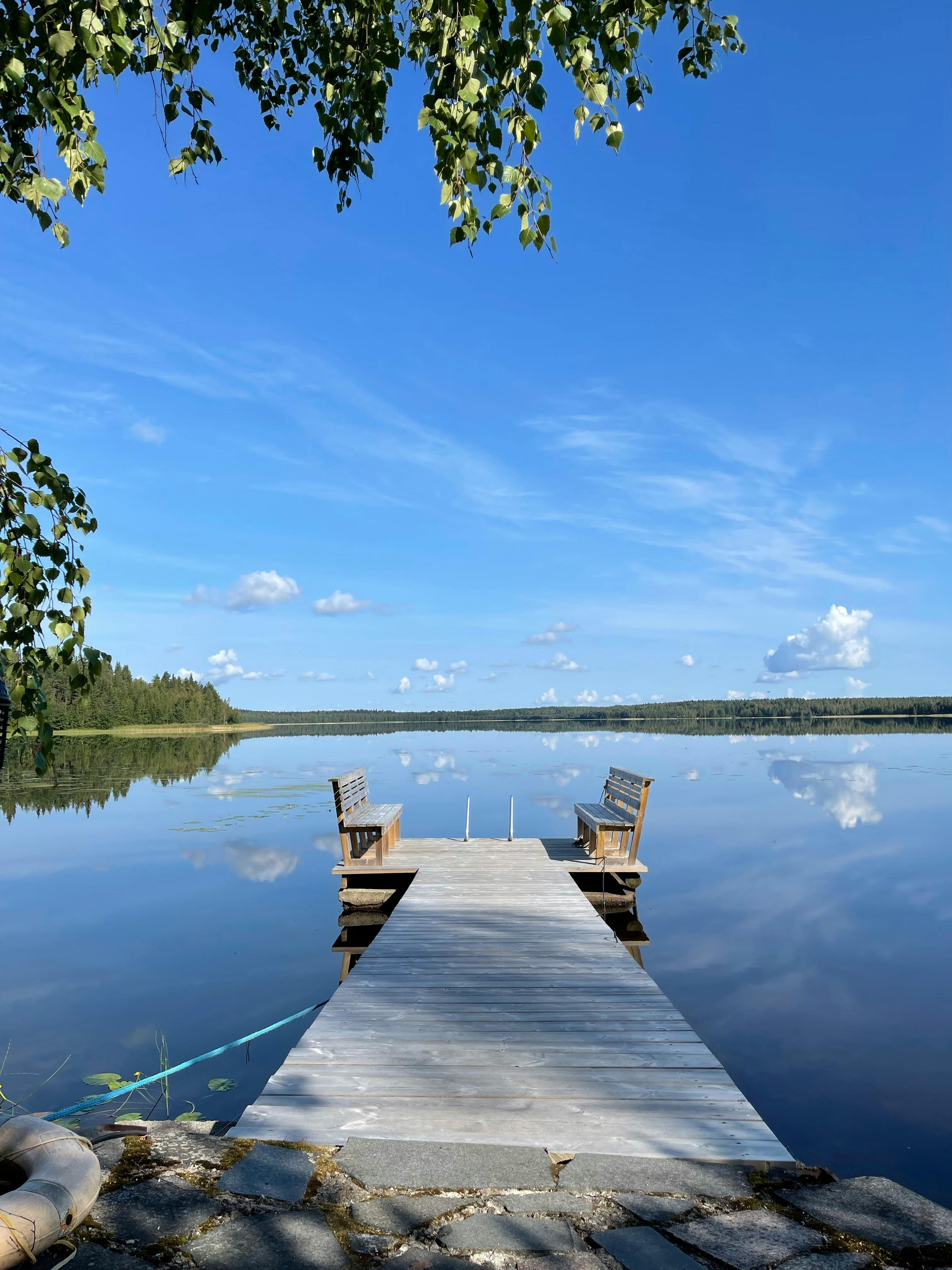 Bridge in the Middle of Water · Free Stock Photo
