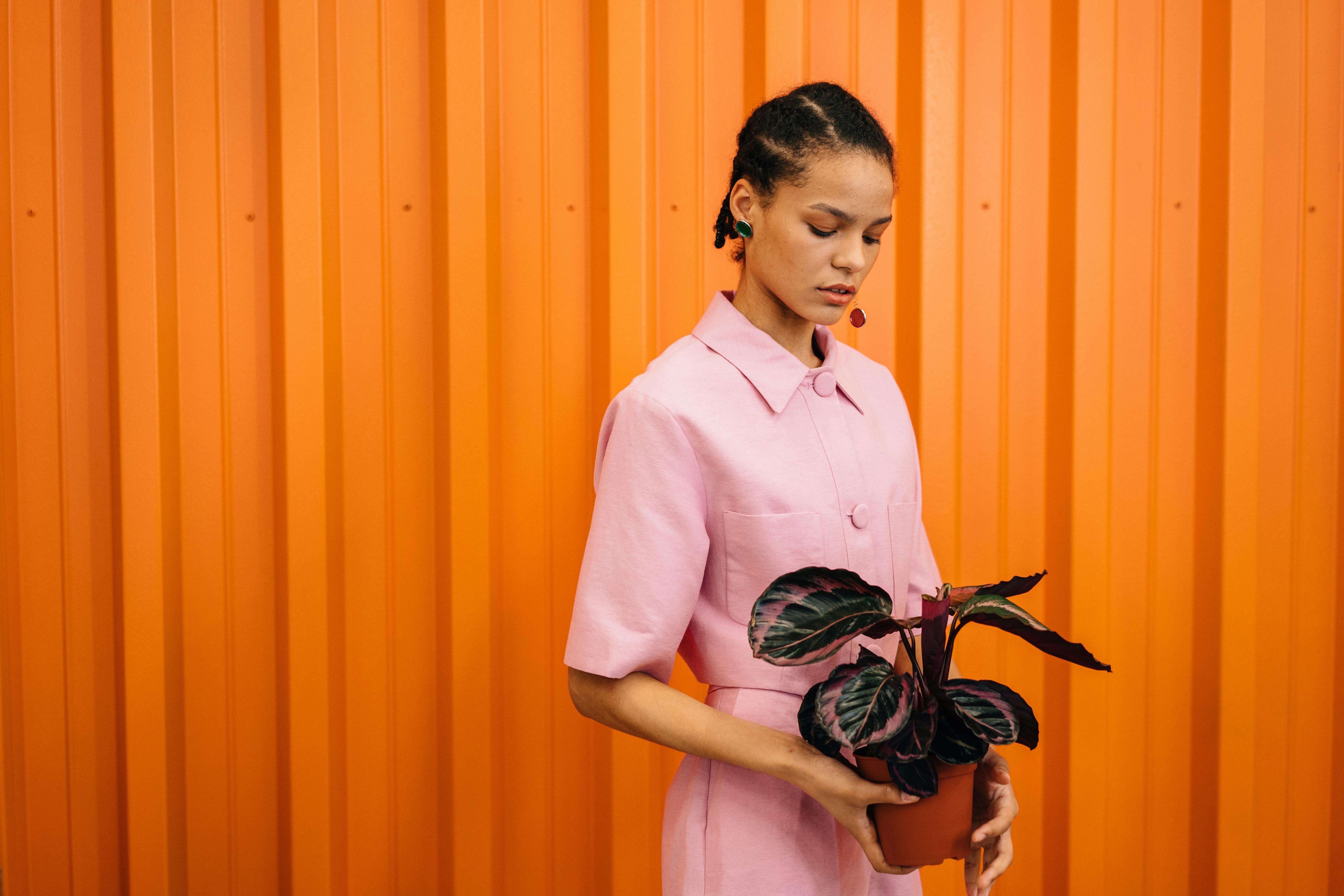 Plant Pothos Photos, Download The BEST Free Plant Pothos Stock Photos ...