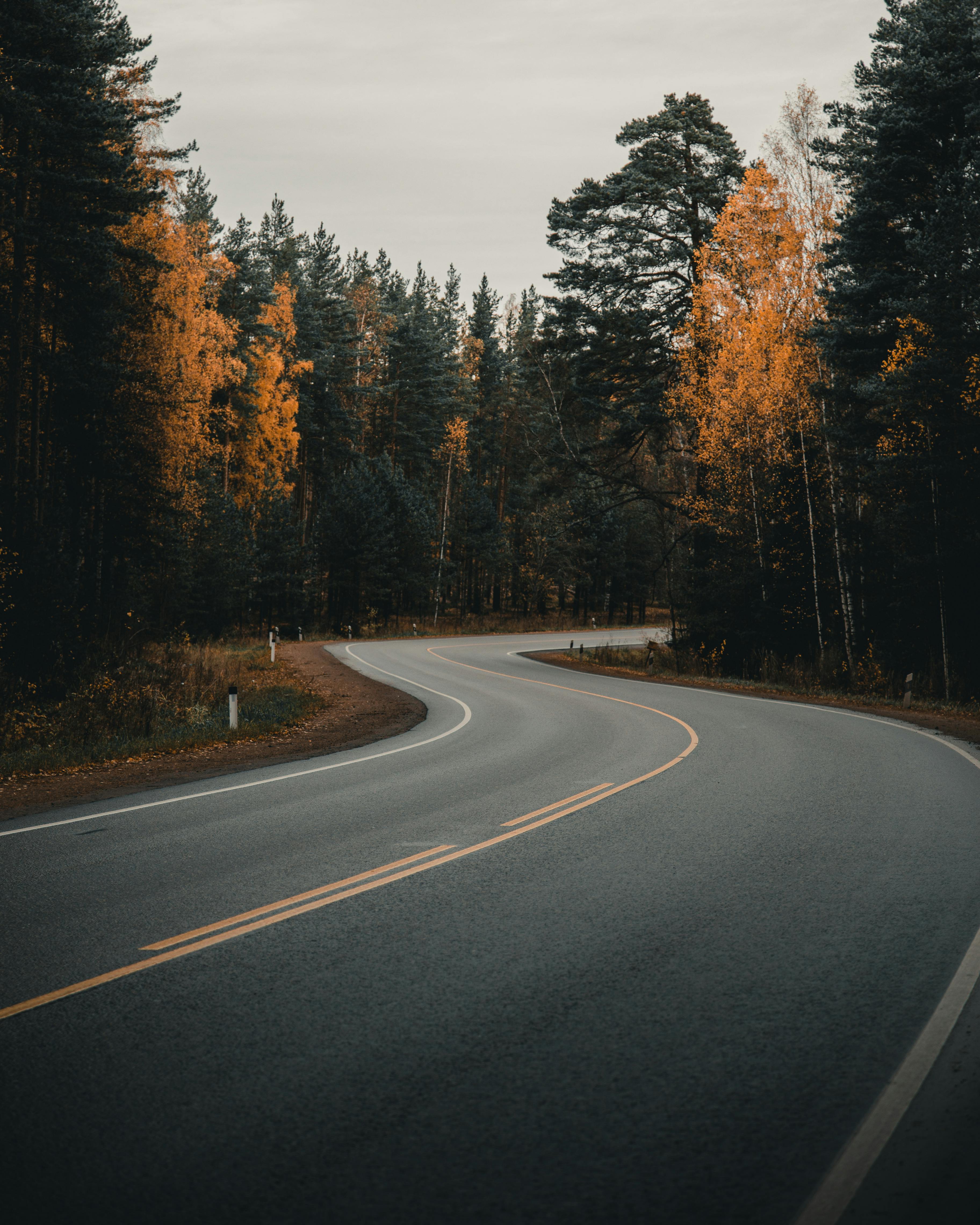 Nature Thumbnails Photos, Download The BEST Free Nature Thumbnails ...