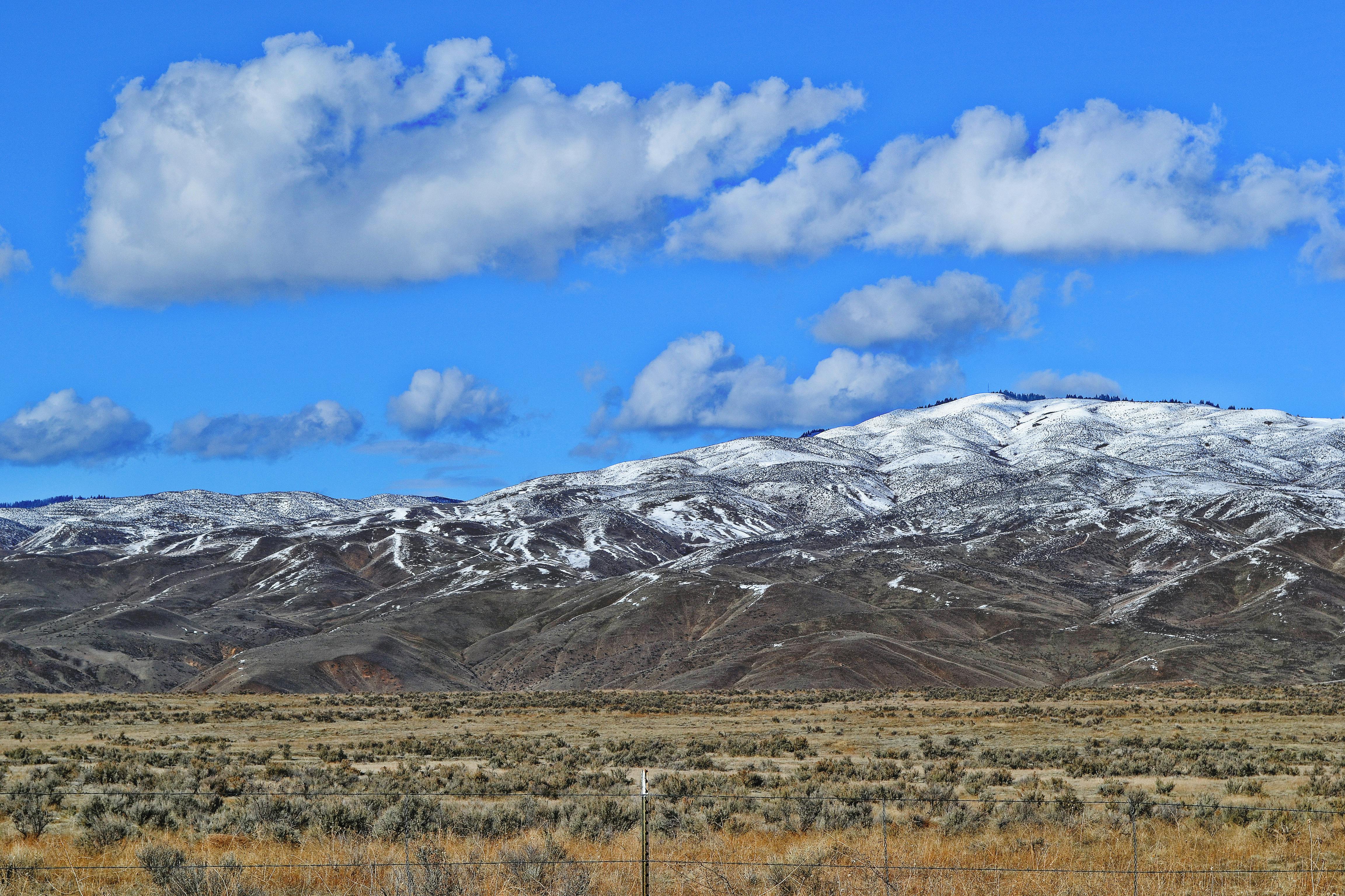Grass Field and Mountain Alps at Distance · Free Stock Photo