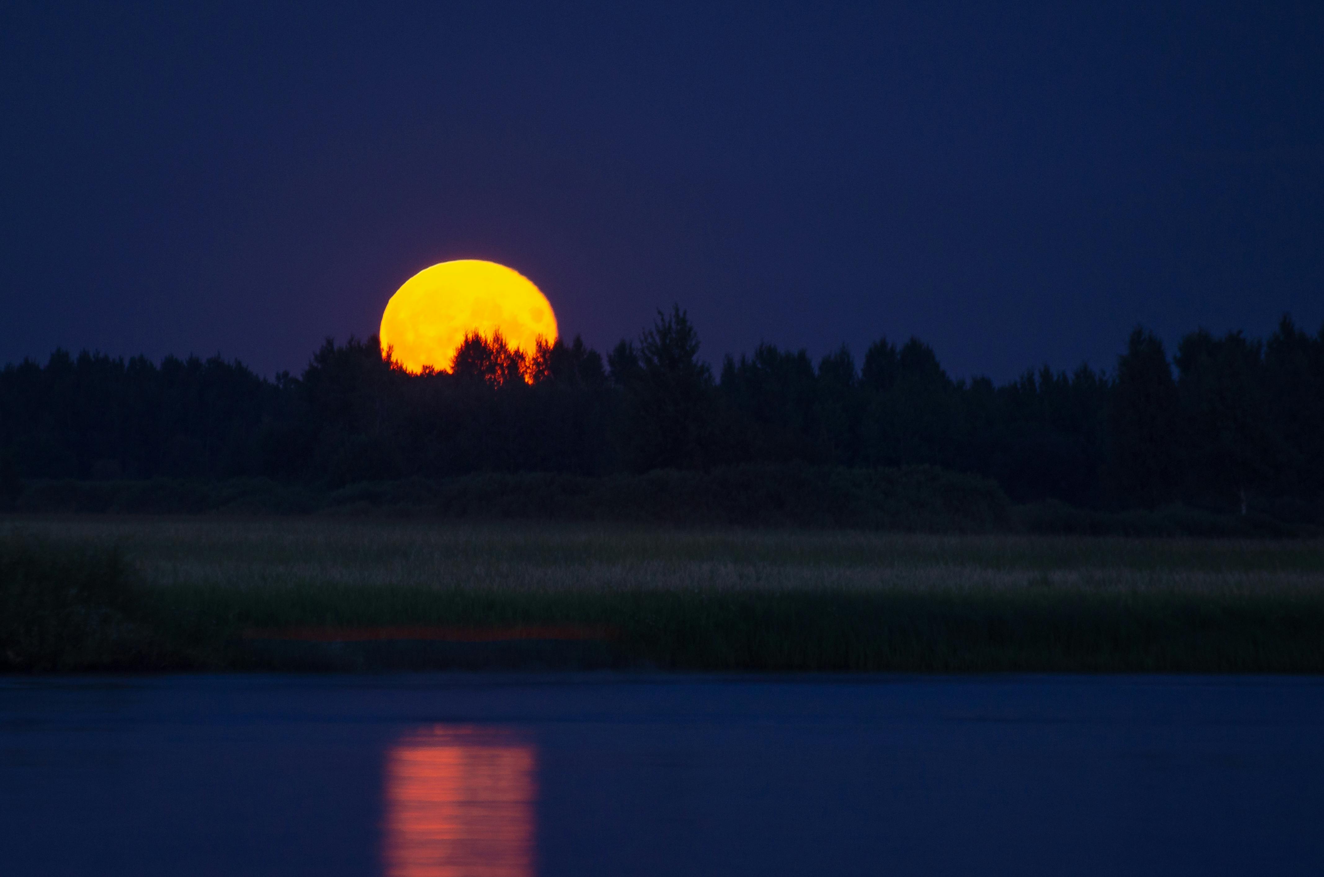 Big Moon Photos, Download The BEST Free Big Moon Stock Photos & HD Images