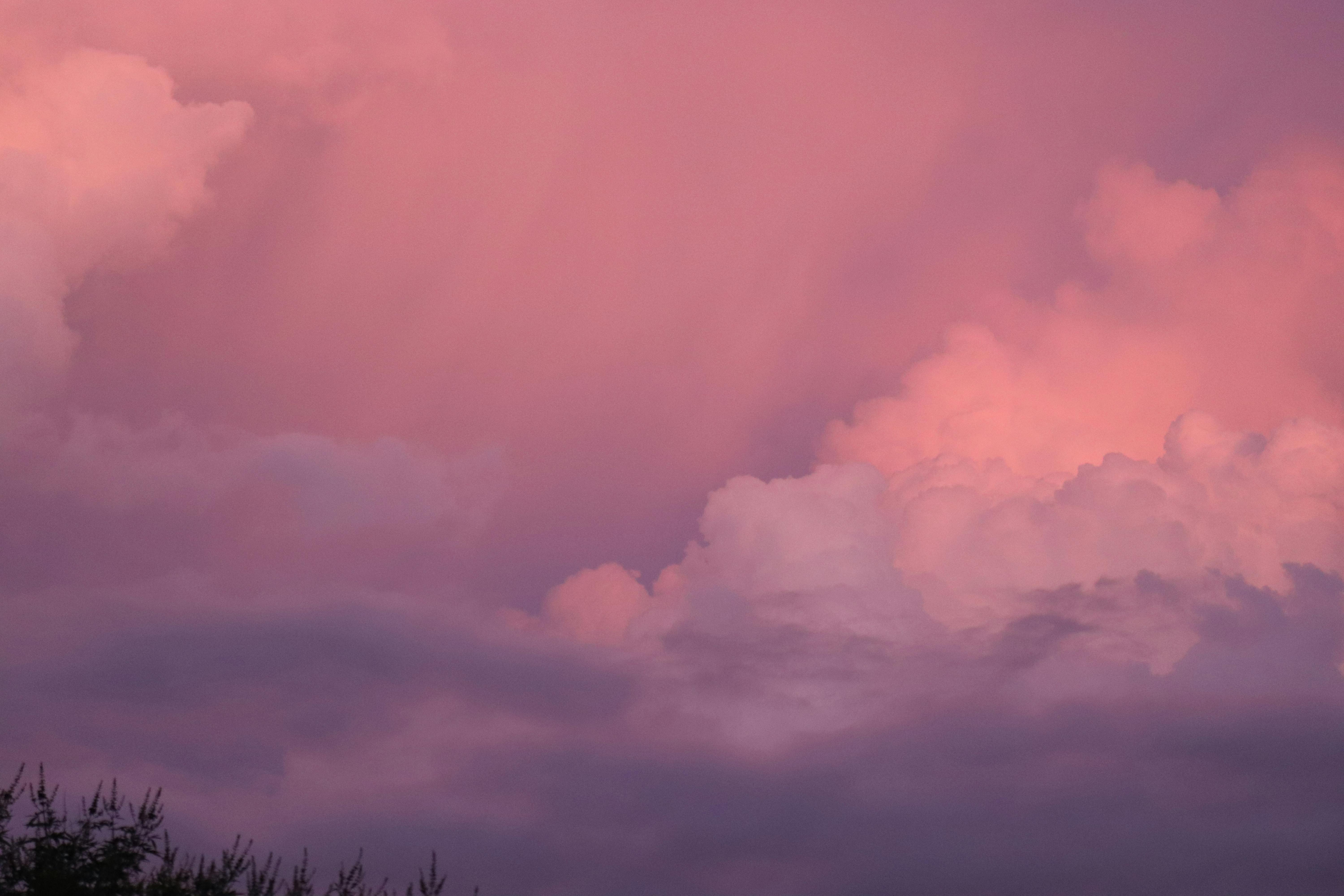 Photo of Pink Clouds in the Sky · Free Stock Photo
