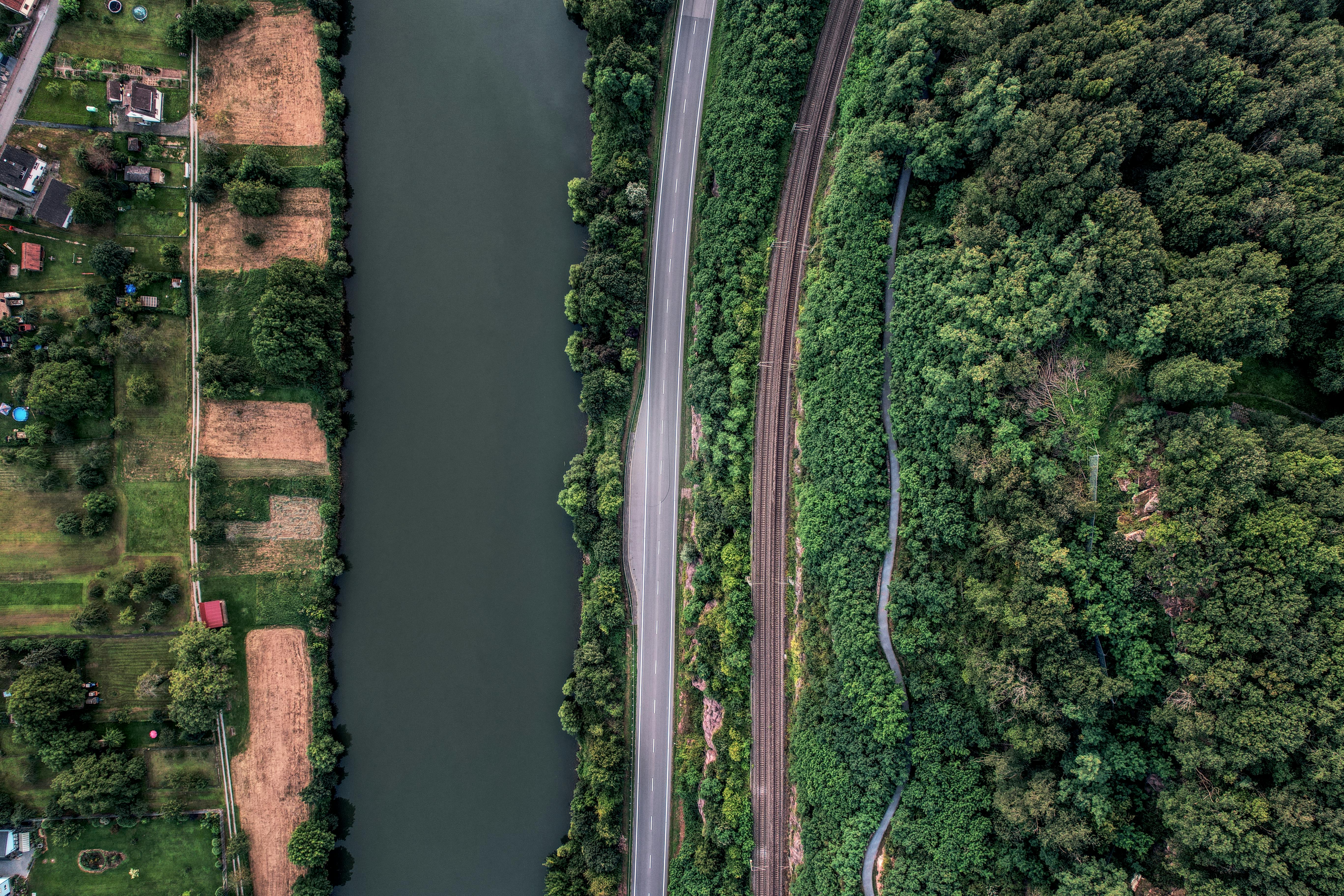 Bird's-eye View Photo of Road With Trees · Free Stock Photo