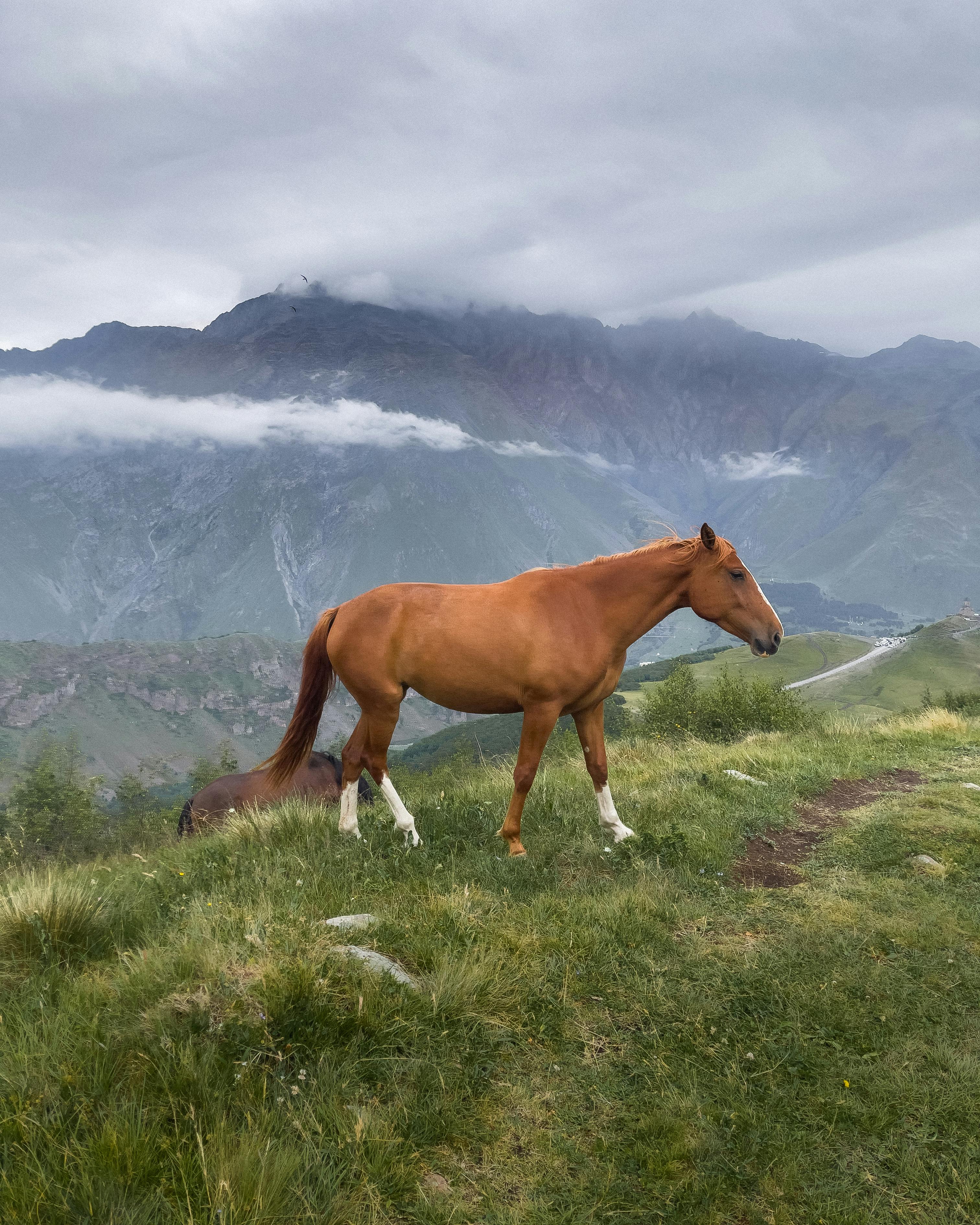 10,000+ Best Simulcast Horse Racing Near Me Photos · 100% Free Download ...