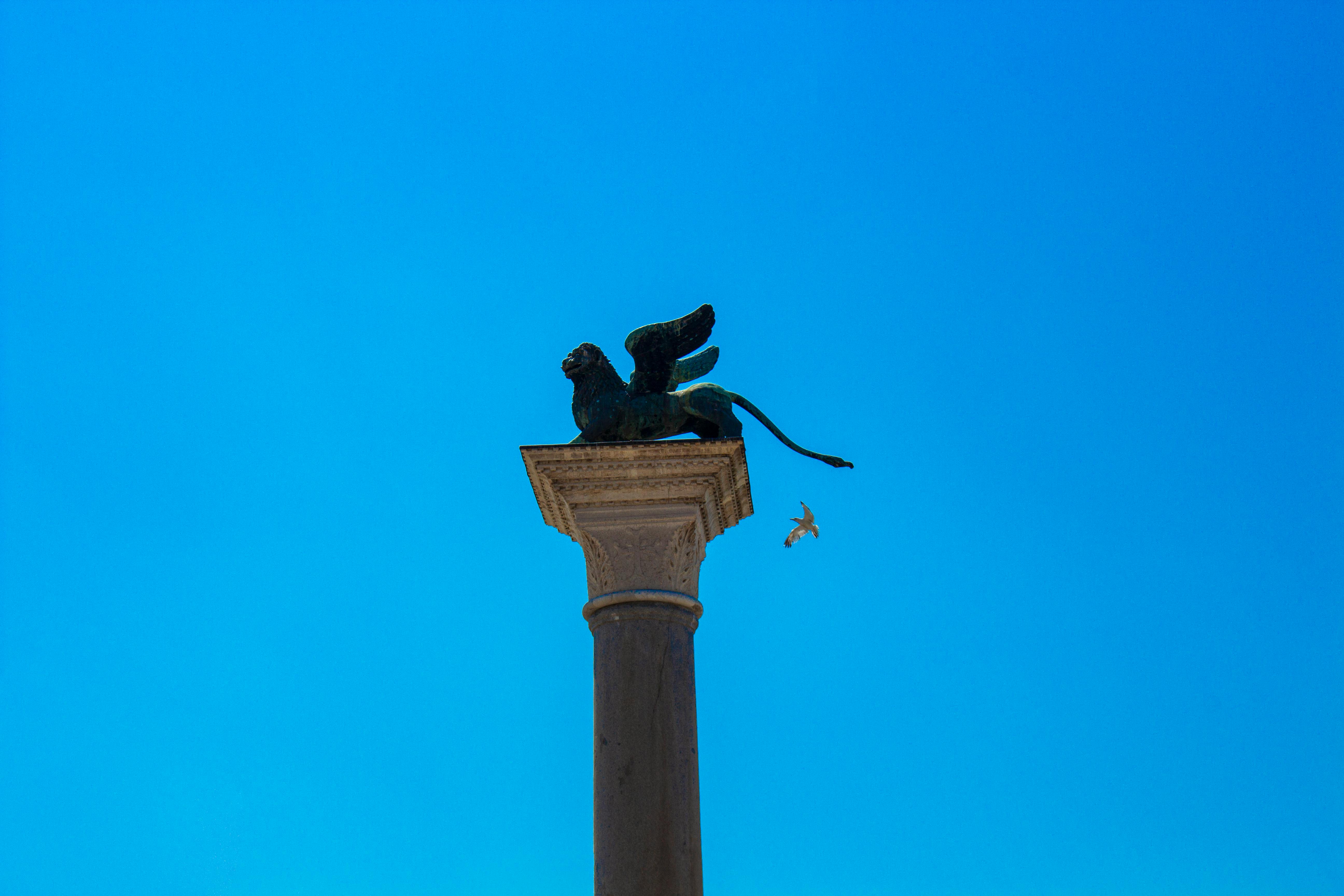 Jean Neves – Fotografie