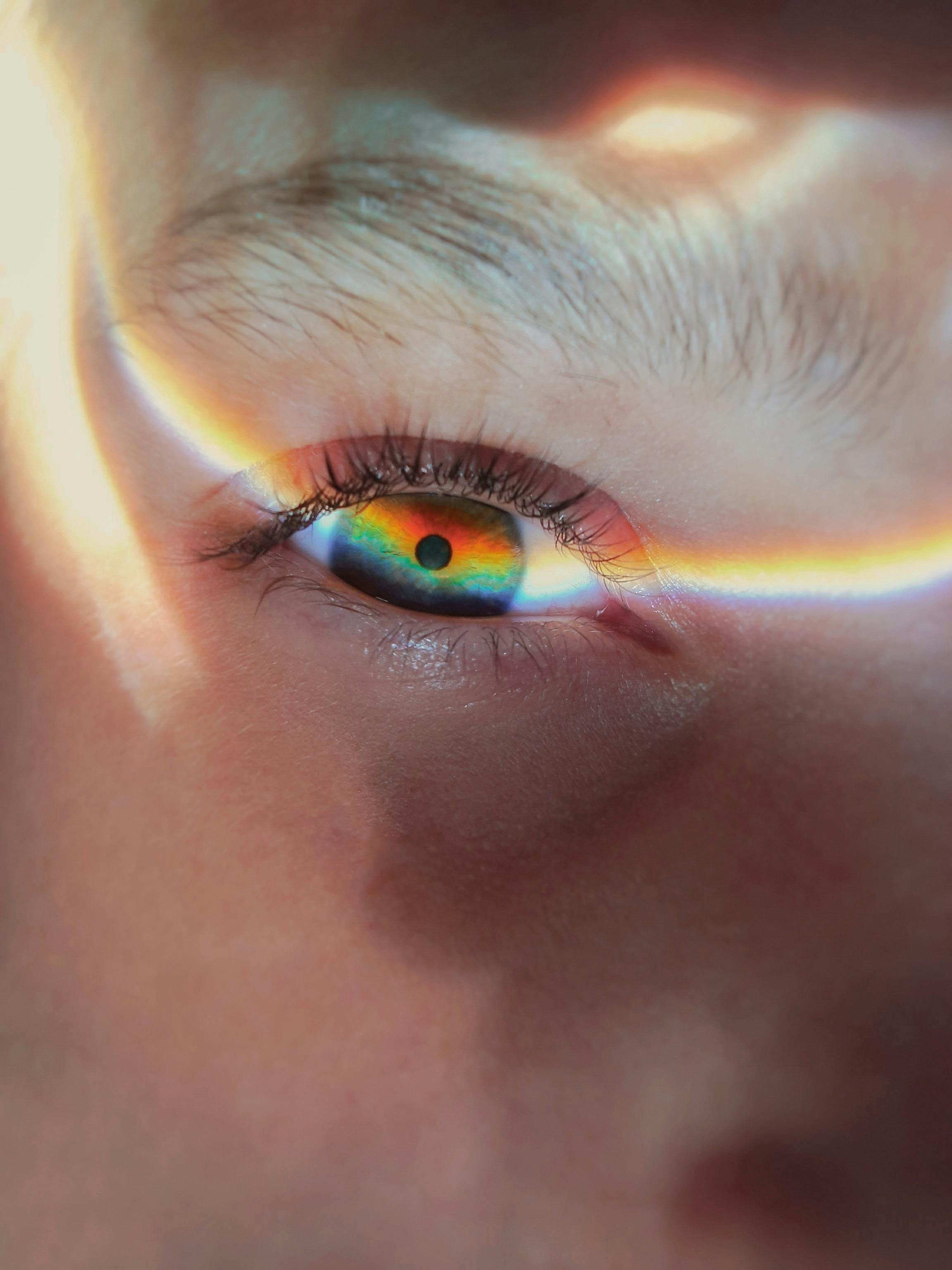 Chicken Eye Photos, Download Free Chicken Eye Stock Photos & HD Images