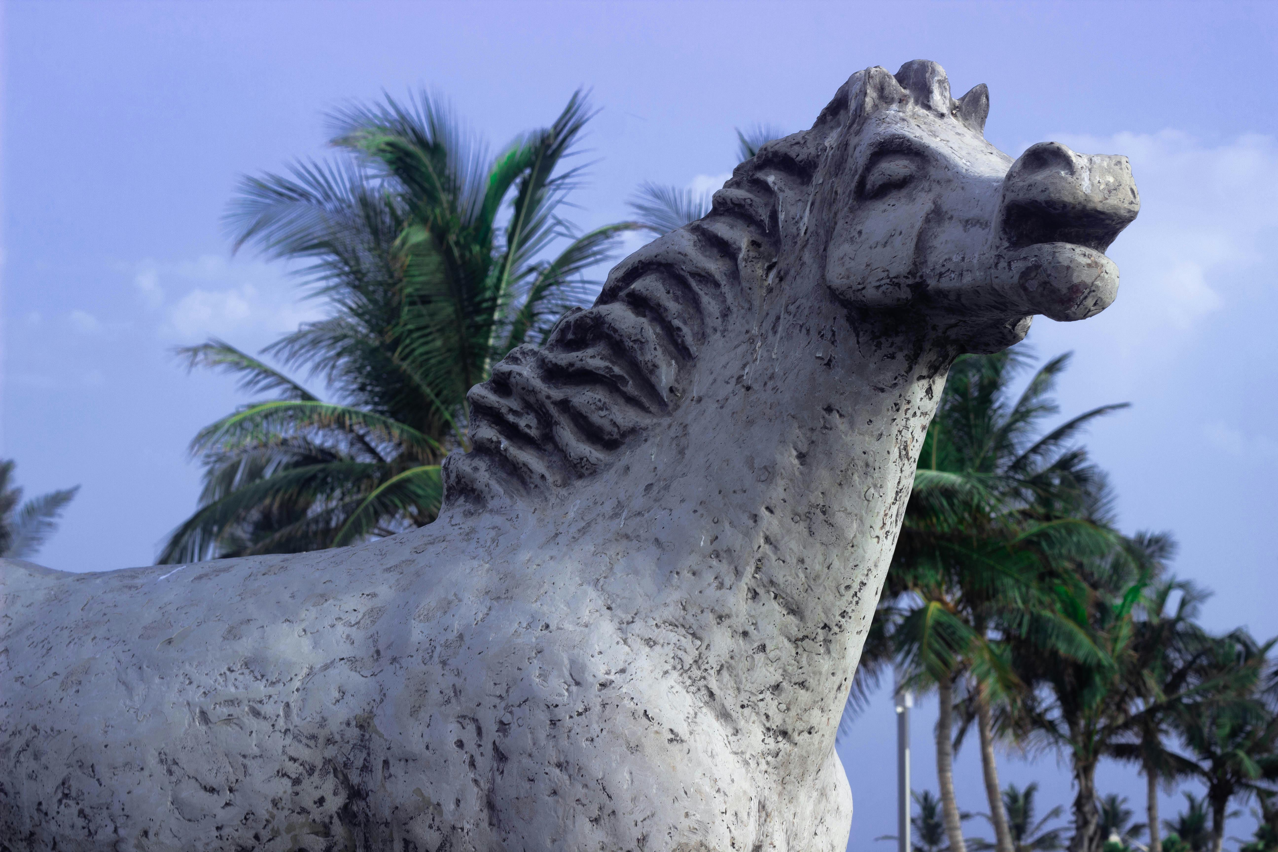 Statue-art 2 Photos & Videos Collected by Hussam Bin Nasser