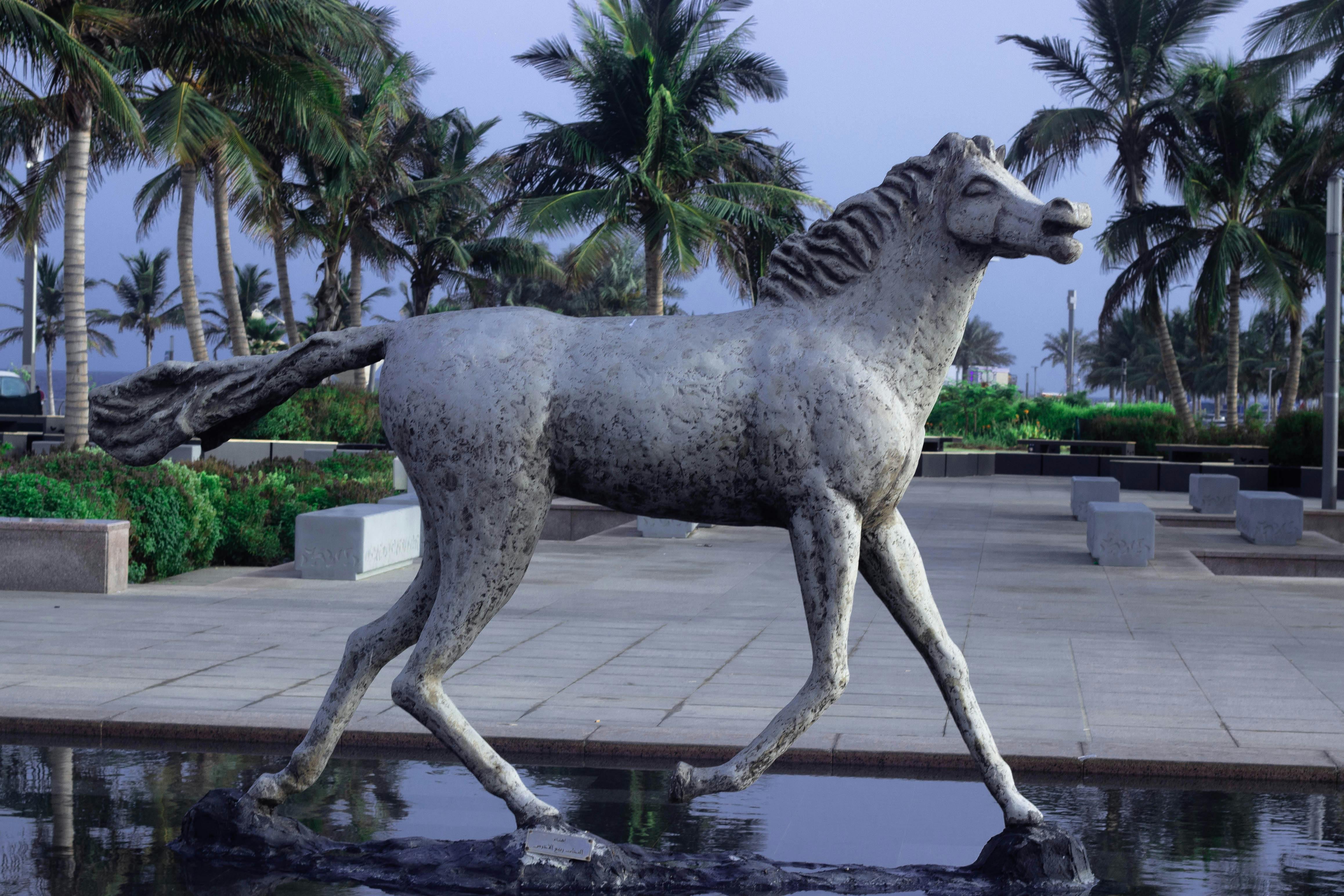 Statue-art 2 Photos & Videos Collected by Hussam Bin Nasser